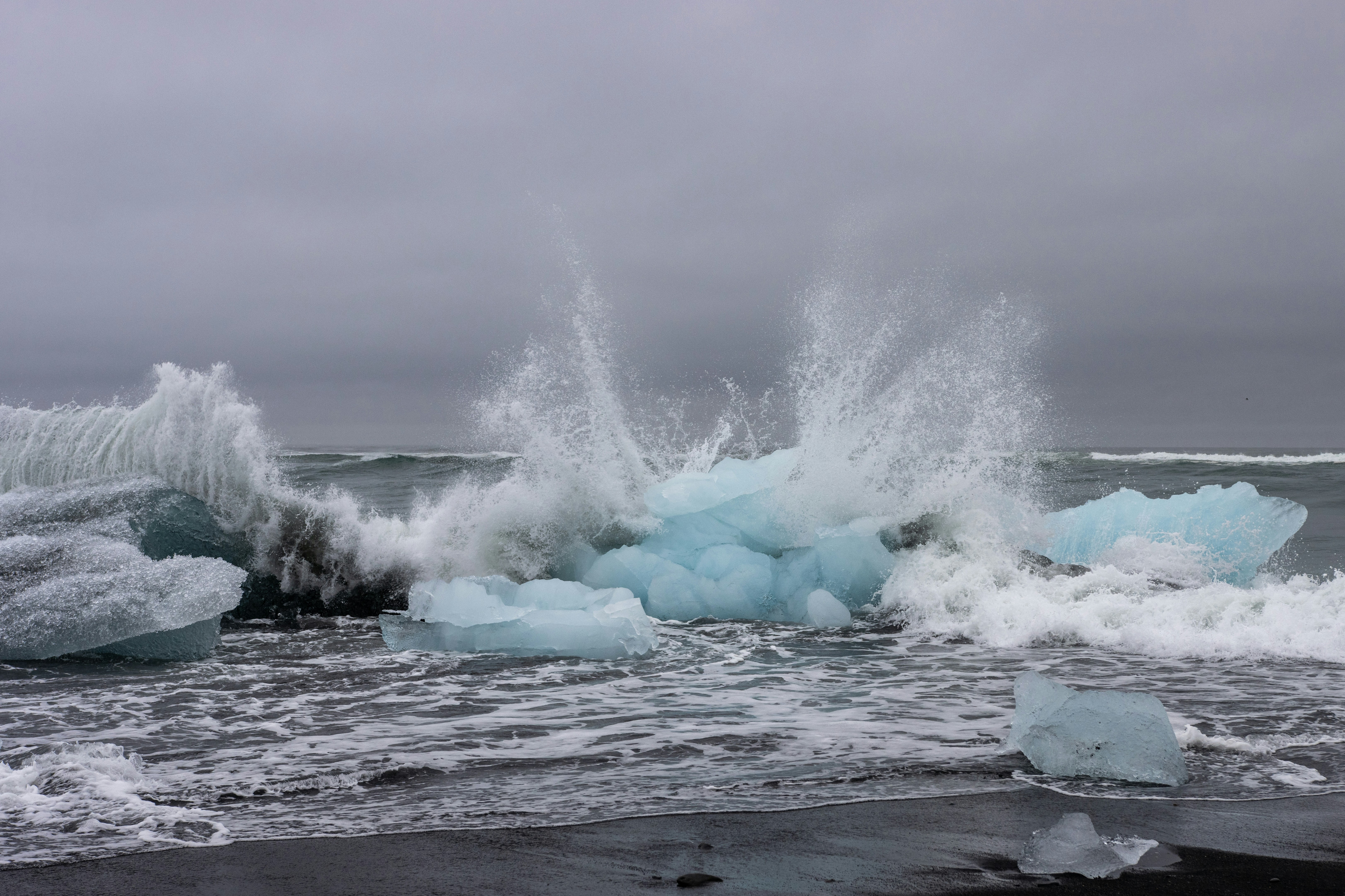 Turquoise Ice Floes Meet the Roaring Gray Shore