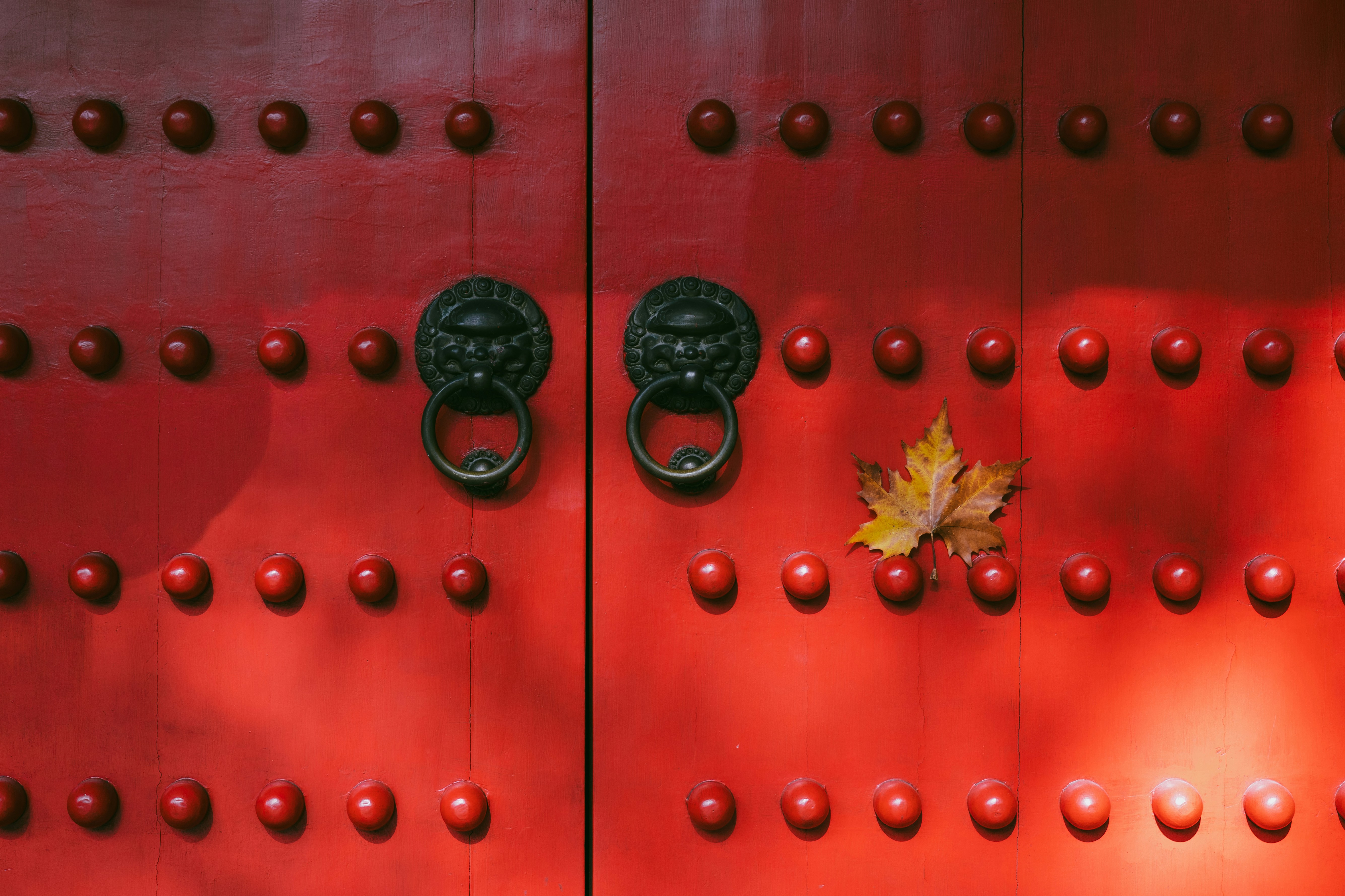 Whispers of Autumn on Crimson Gates
