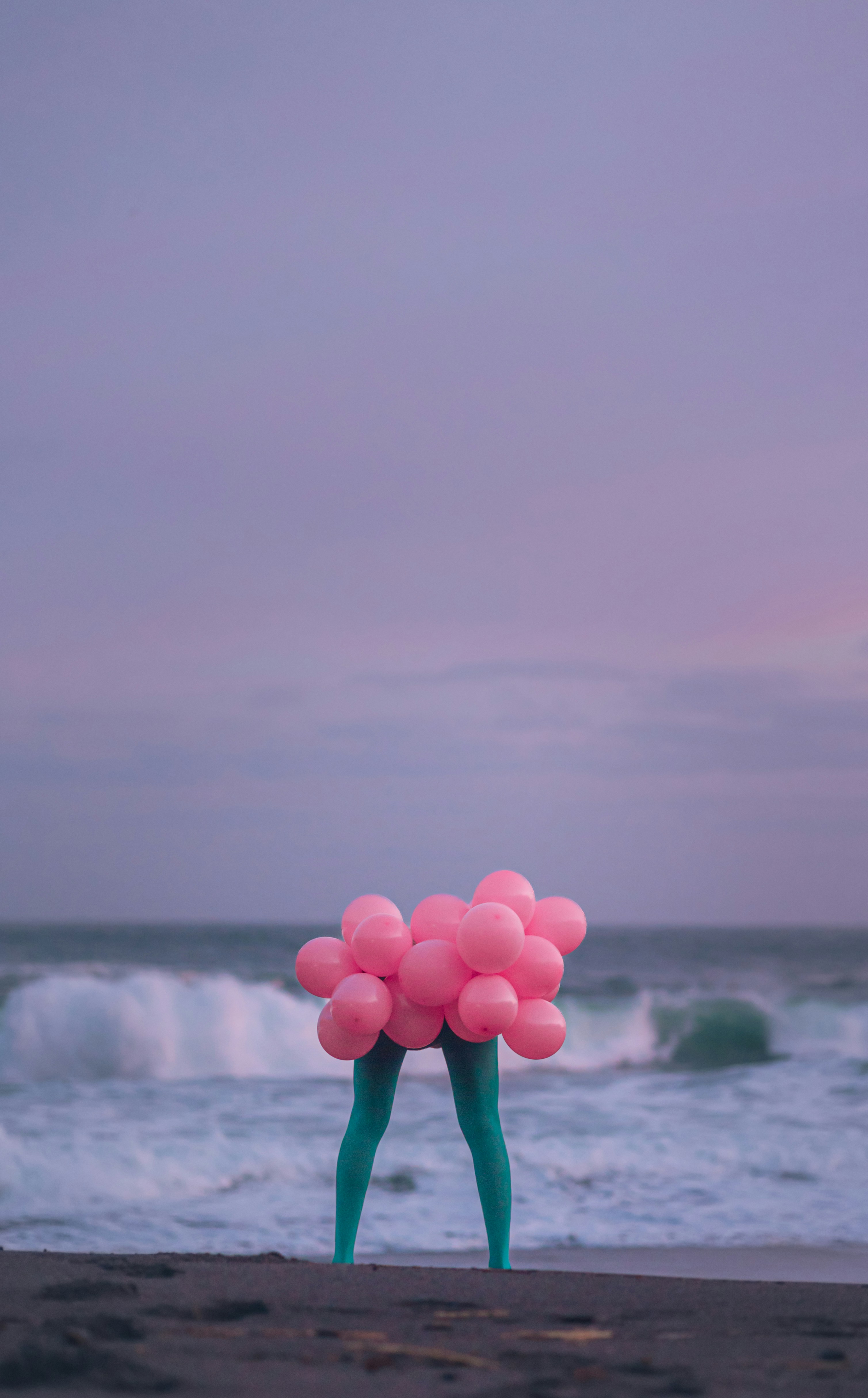 a pink flower on a beachAlex Gruber