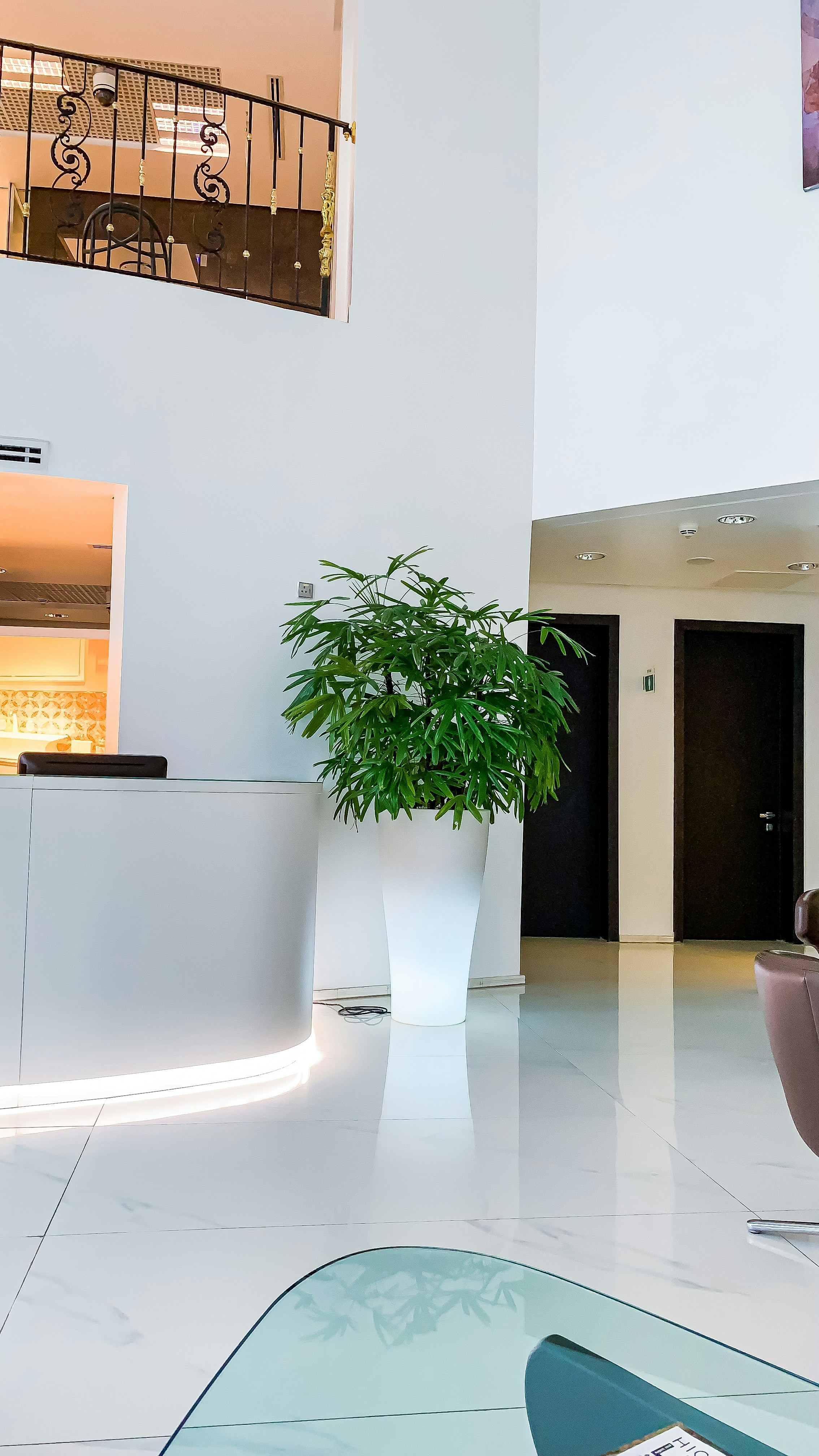 Beautiful big artificial indoor plant in an office reception.