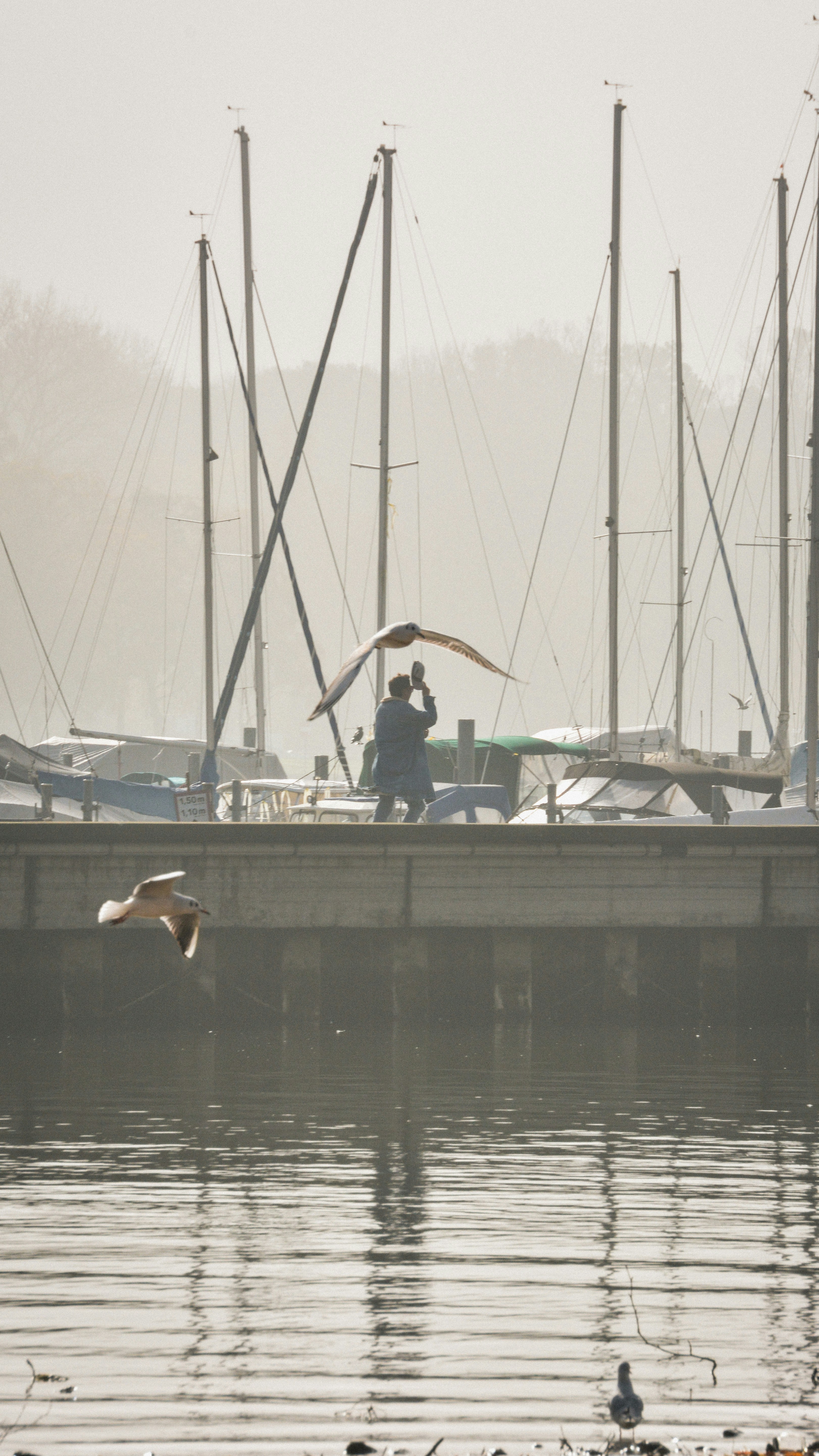 a couple of people on a dock by a boat with a bird flying