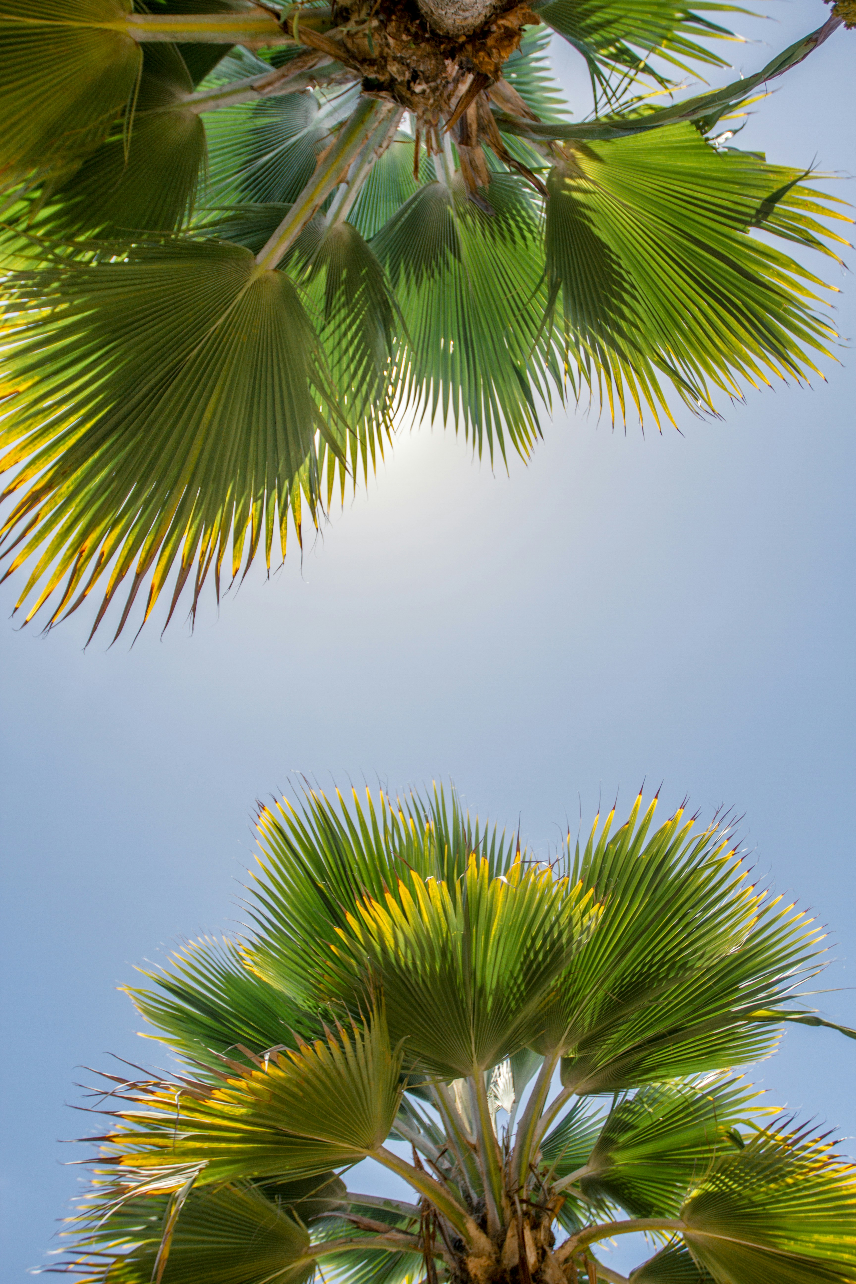 Hector John Periquin (@hectorjp) | Unsplash Photo Community