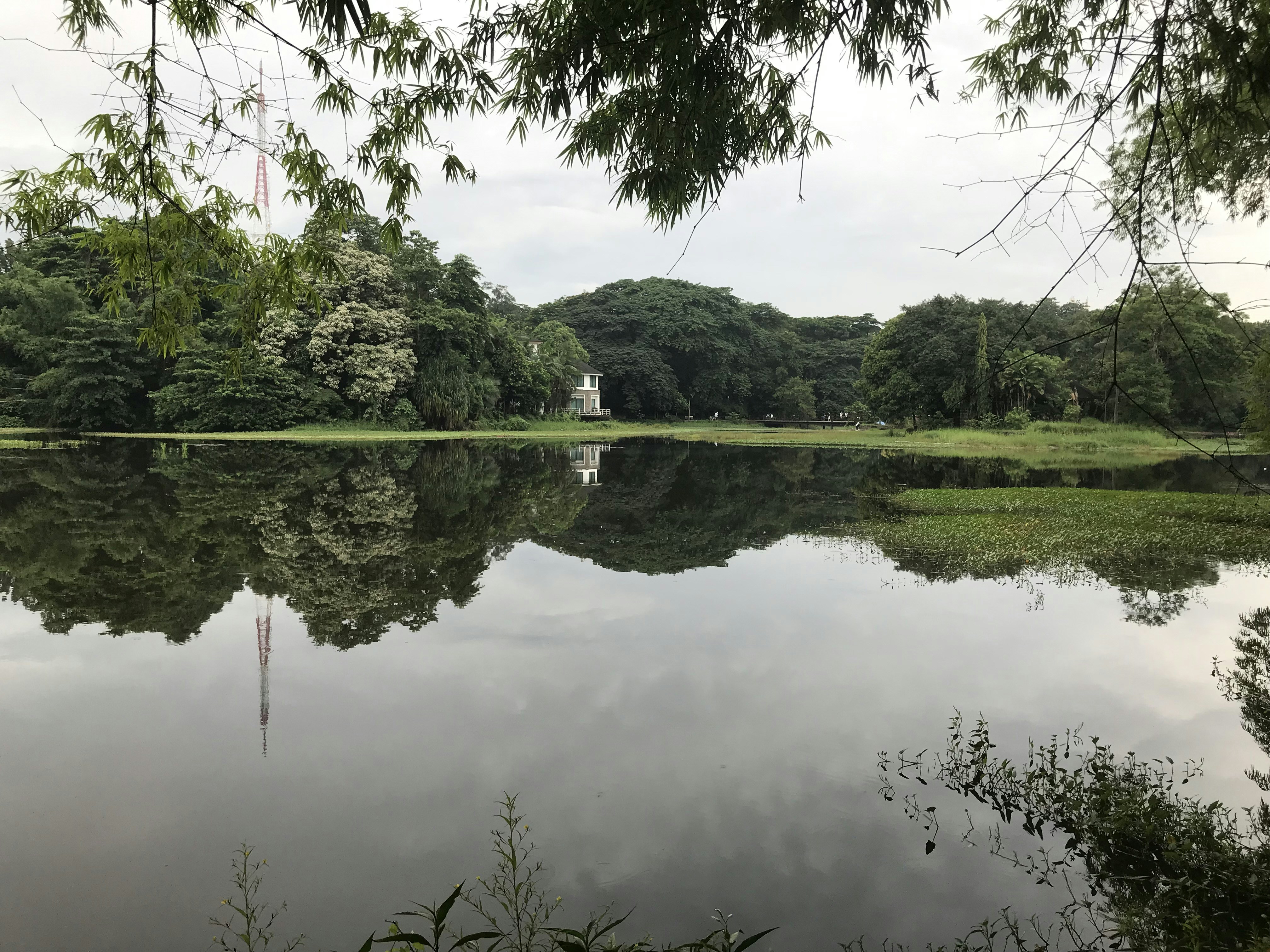 Lush greenery and a classic house reflected in a calm lake, framed by overhanging branches. The scene captures the peacefulness of nature.