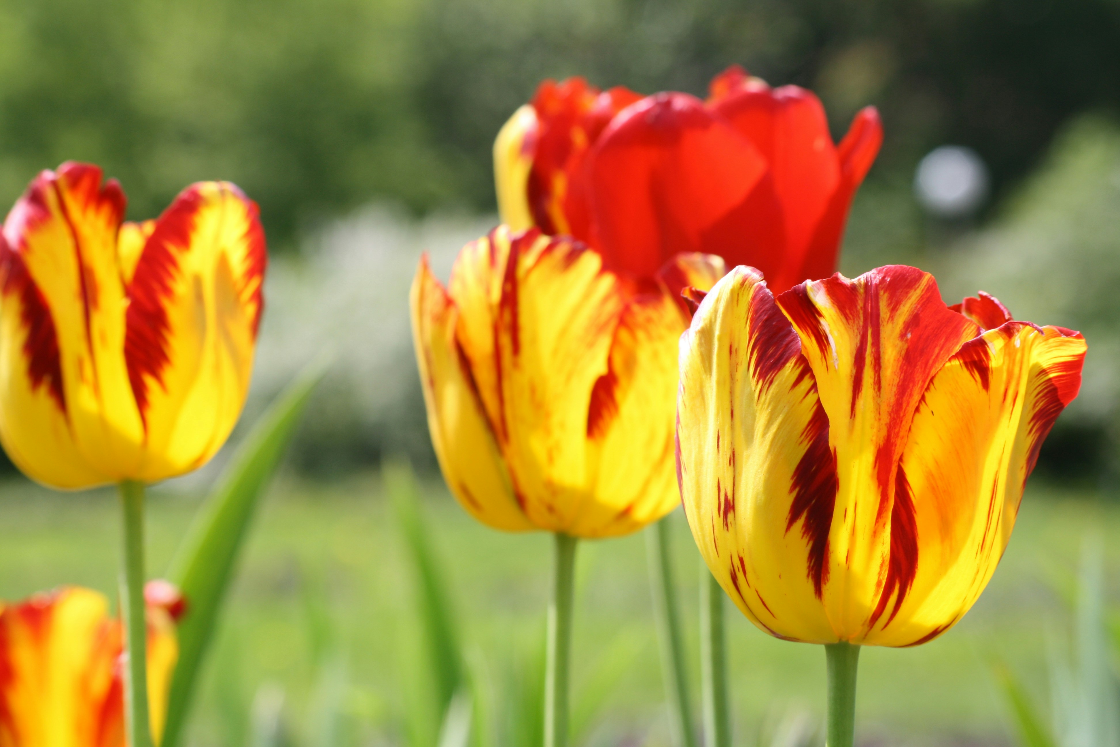 Tatiana Yuryeva (@tatamao) | Unsplash Photo Community