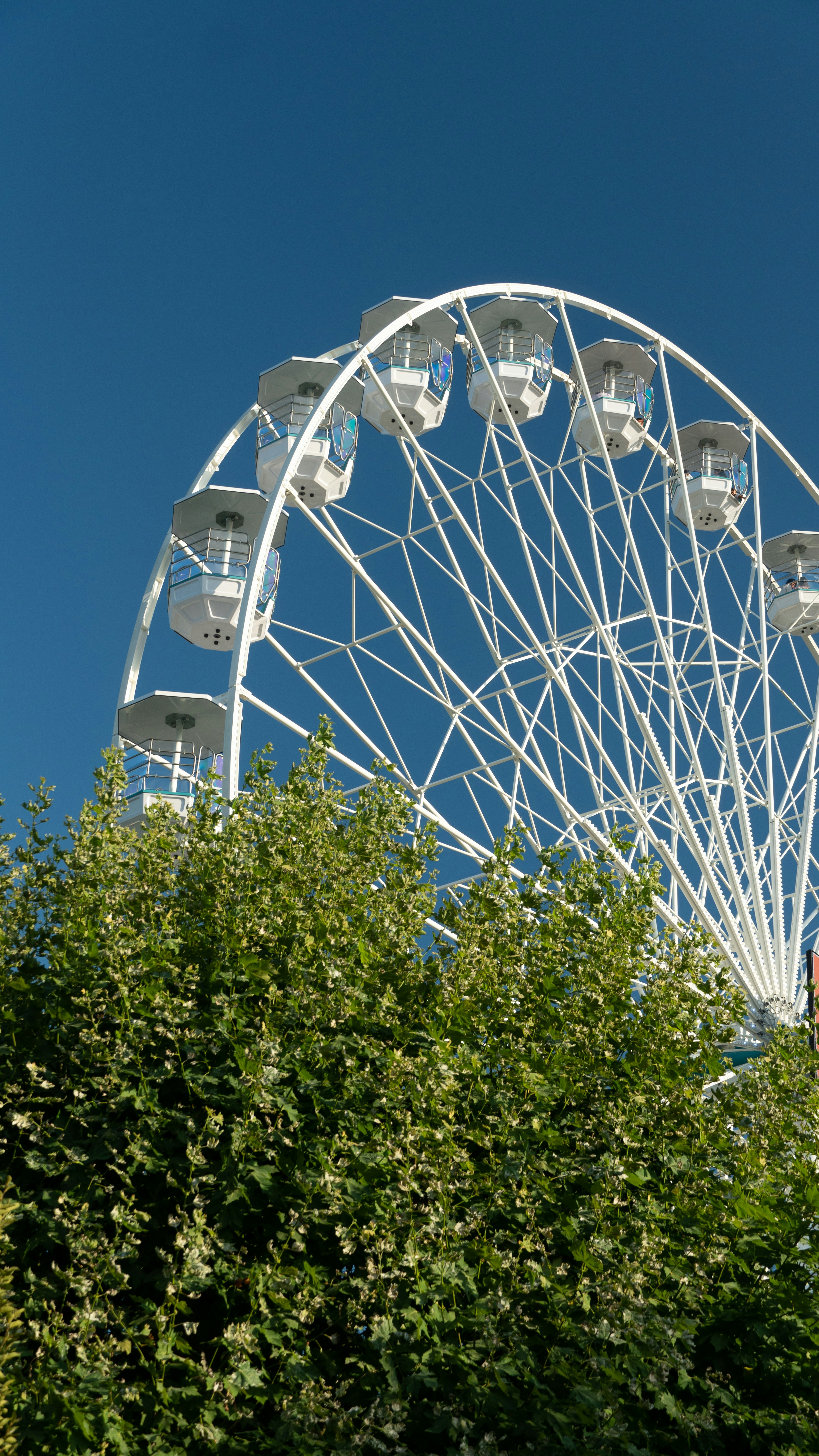 A ferris wheel with trees around it photo – Free Berna Image on Unsplash