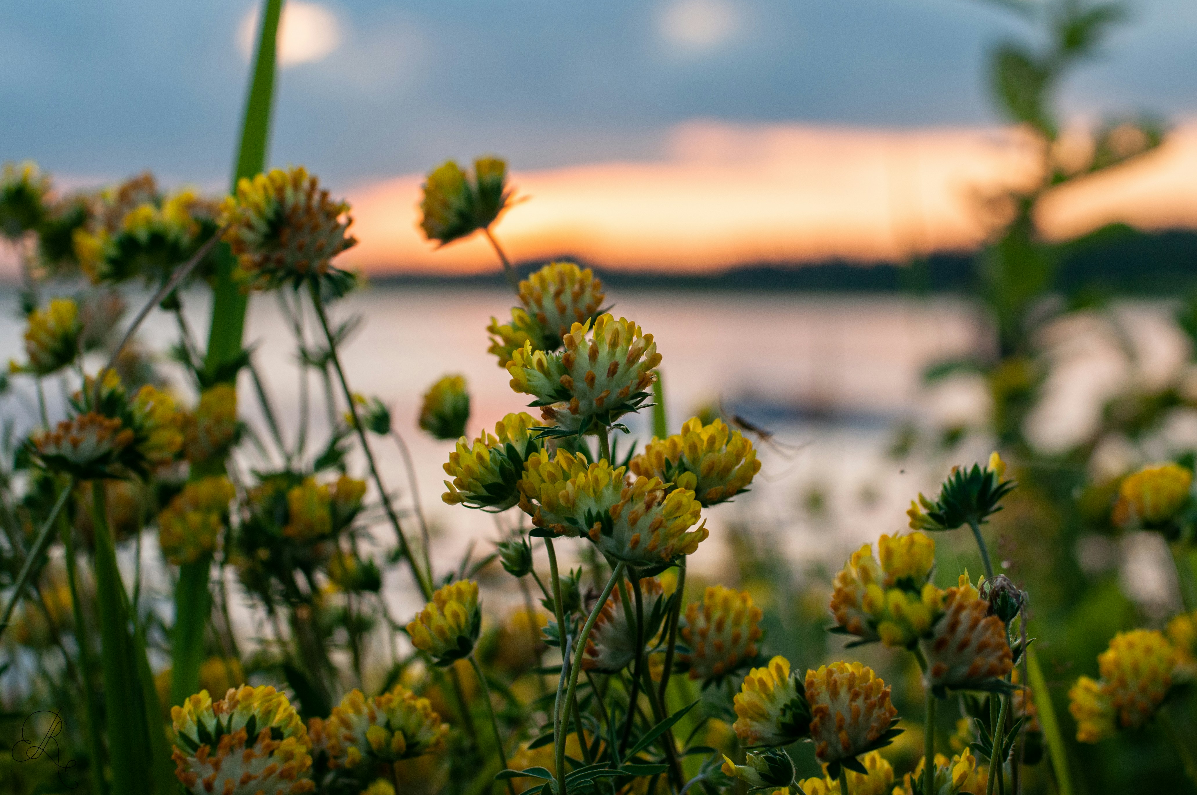 Photo by Natalia Gusakova with Nikon D300S