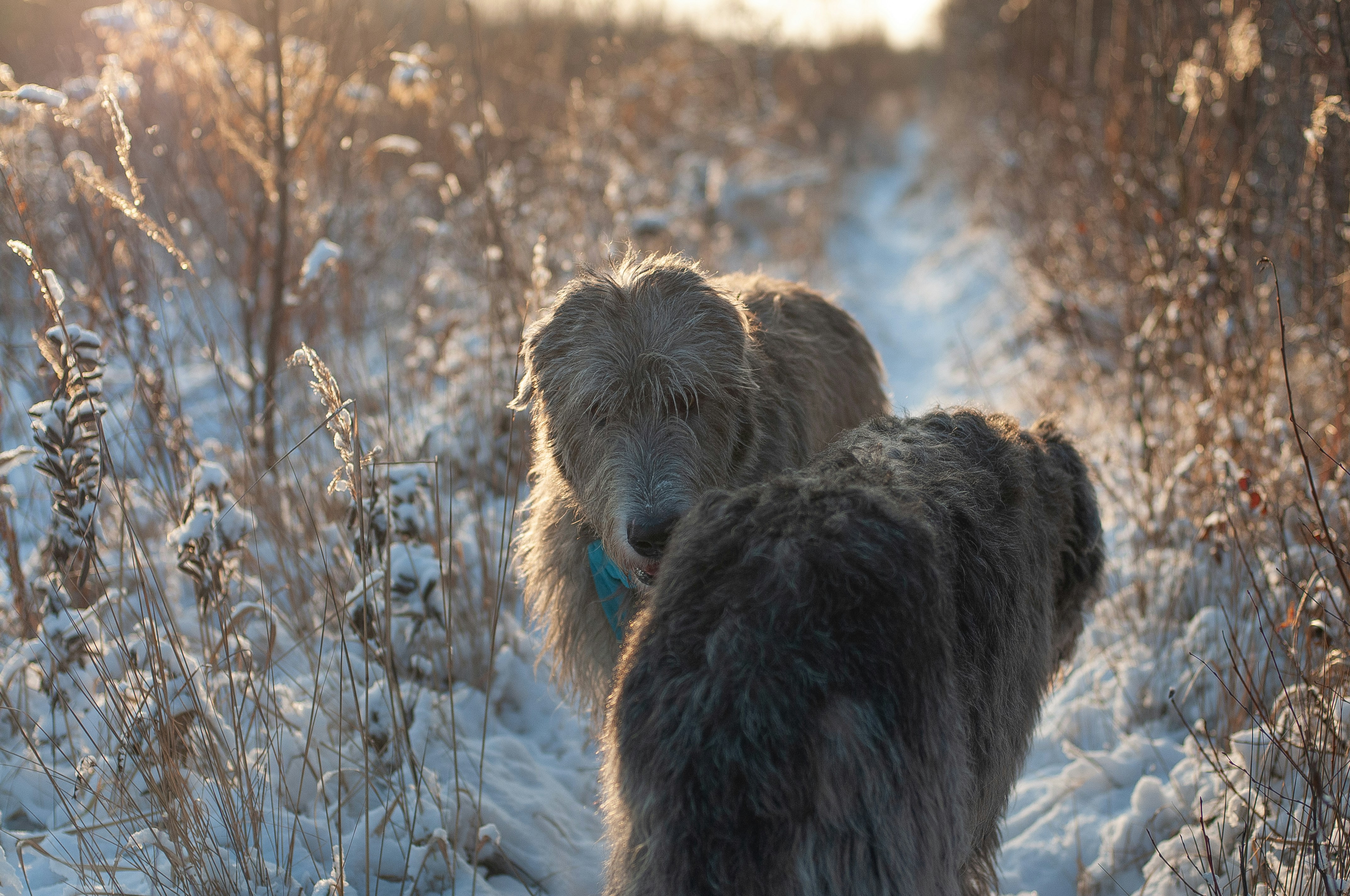 Photo by Natalia Gusakova with Nikon D300S