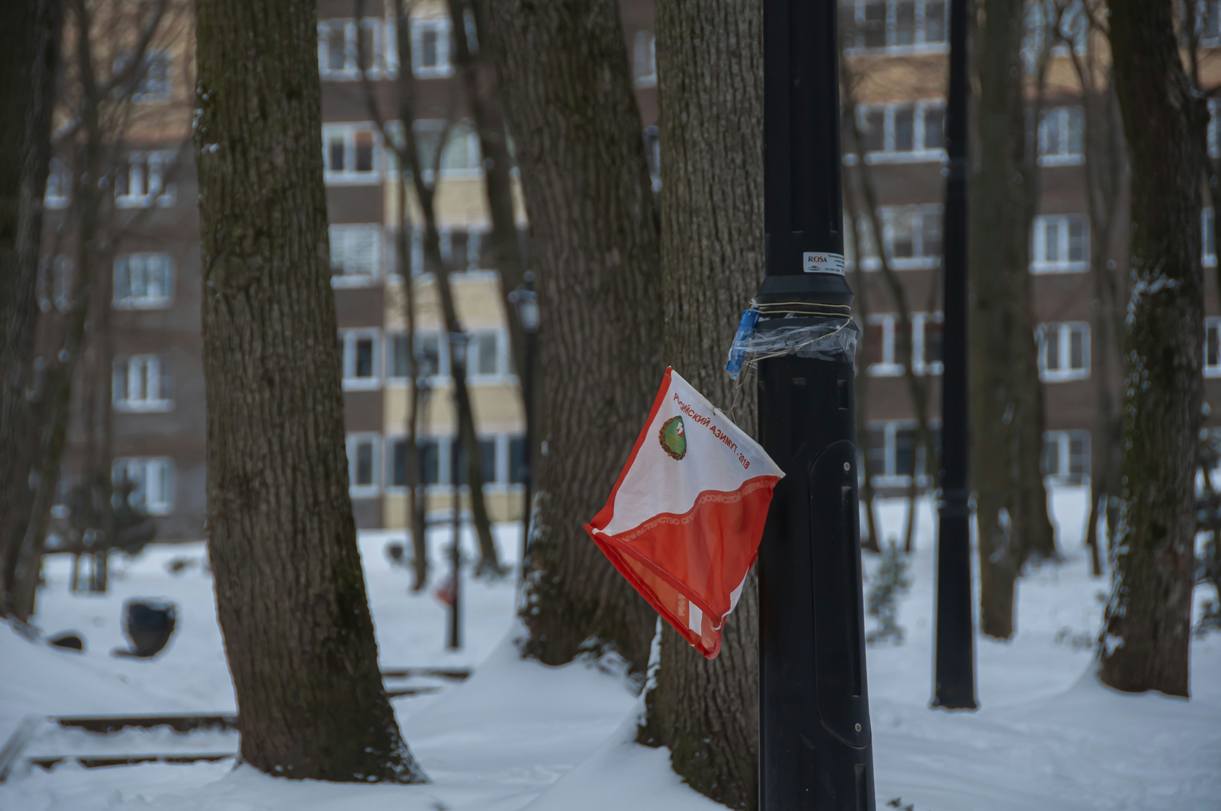 Scarlet Banner on a Snowy Lamppost: Quiet City Park Moment