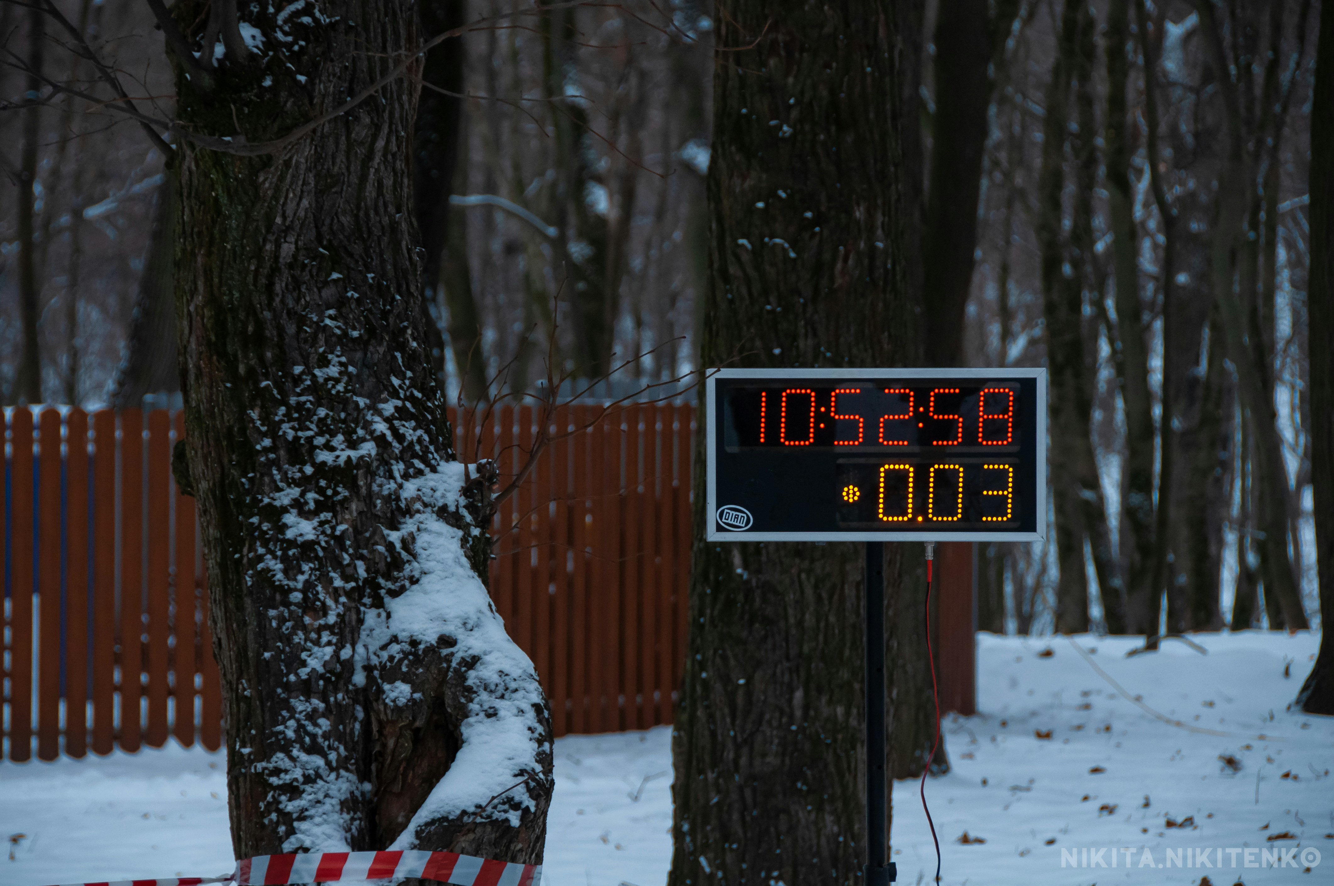 Neon Countdown in a Snowbound Pinescape
