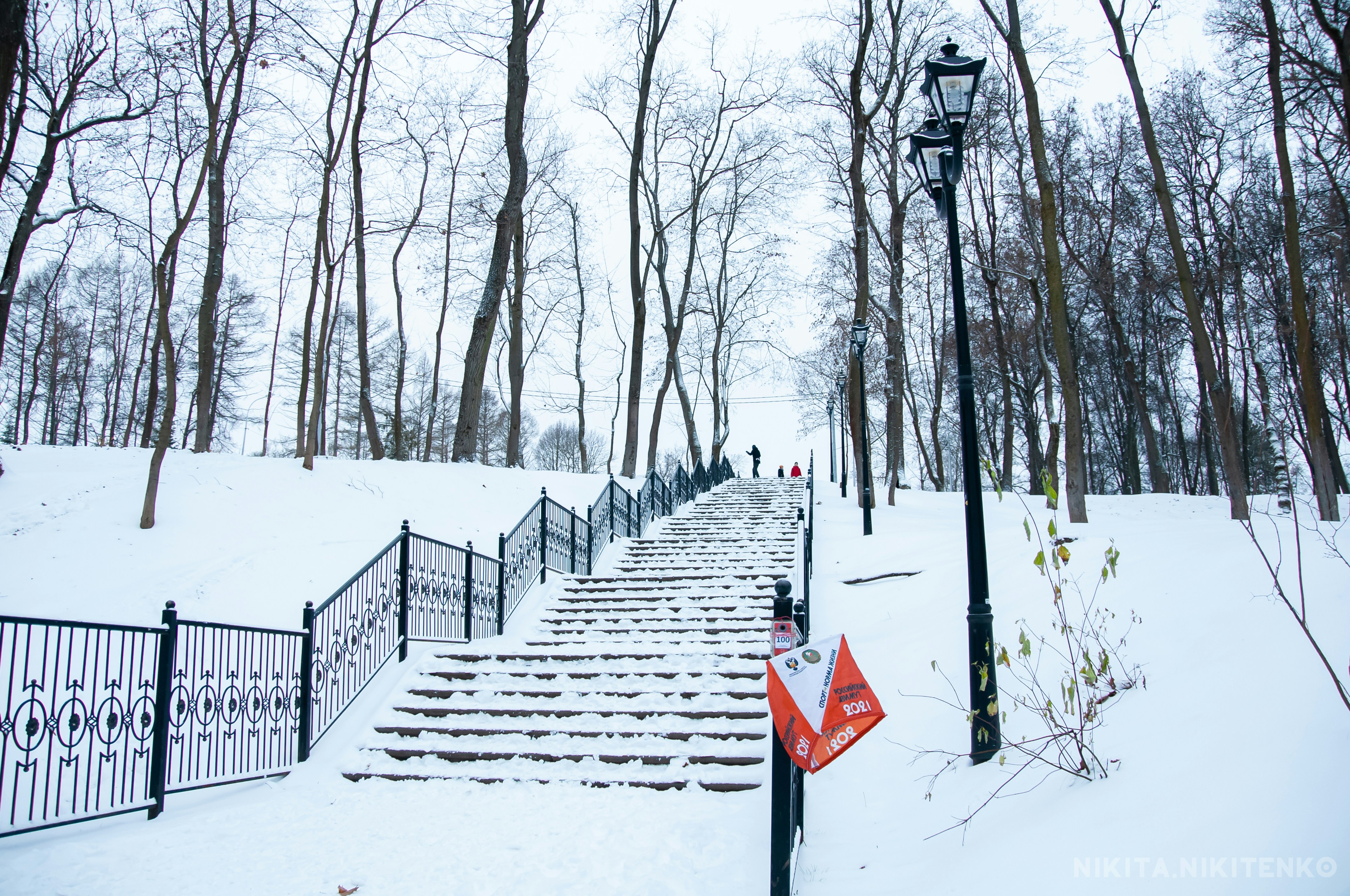 Midwinter Ascent: Snow-Laced Steps Toward a Distant Gathering