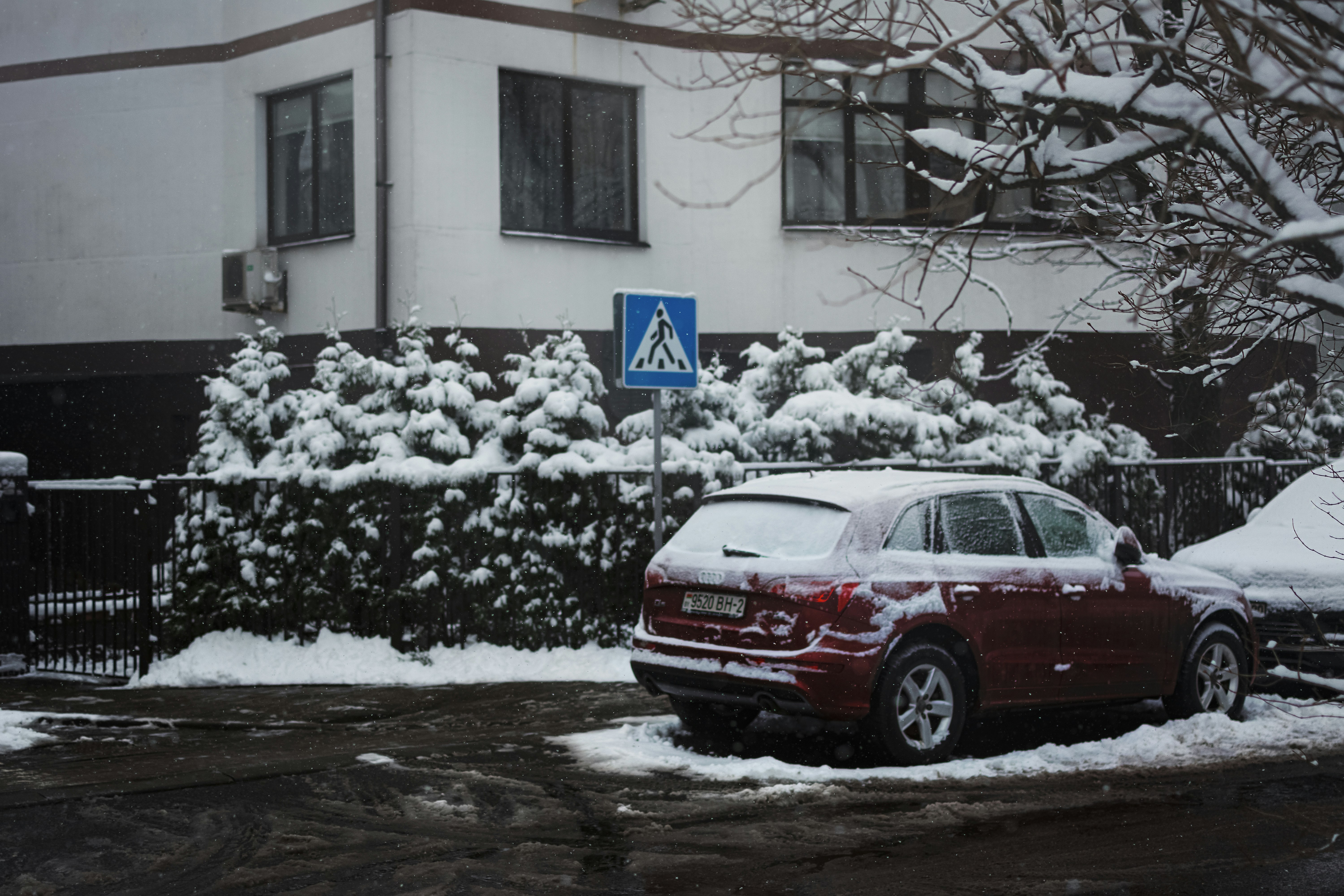 Winter hush: Red SUV tucked along a snow-lined street beneath a pedestrian crossing sign