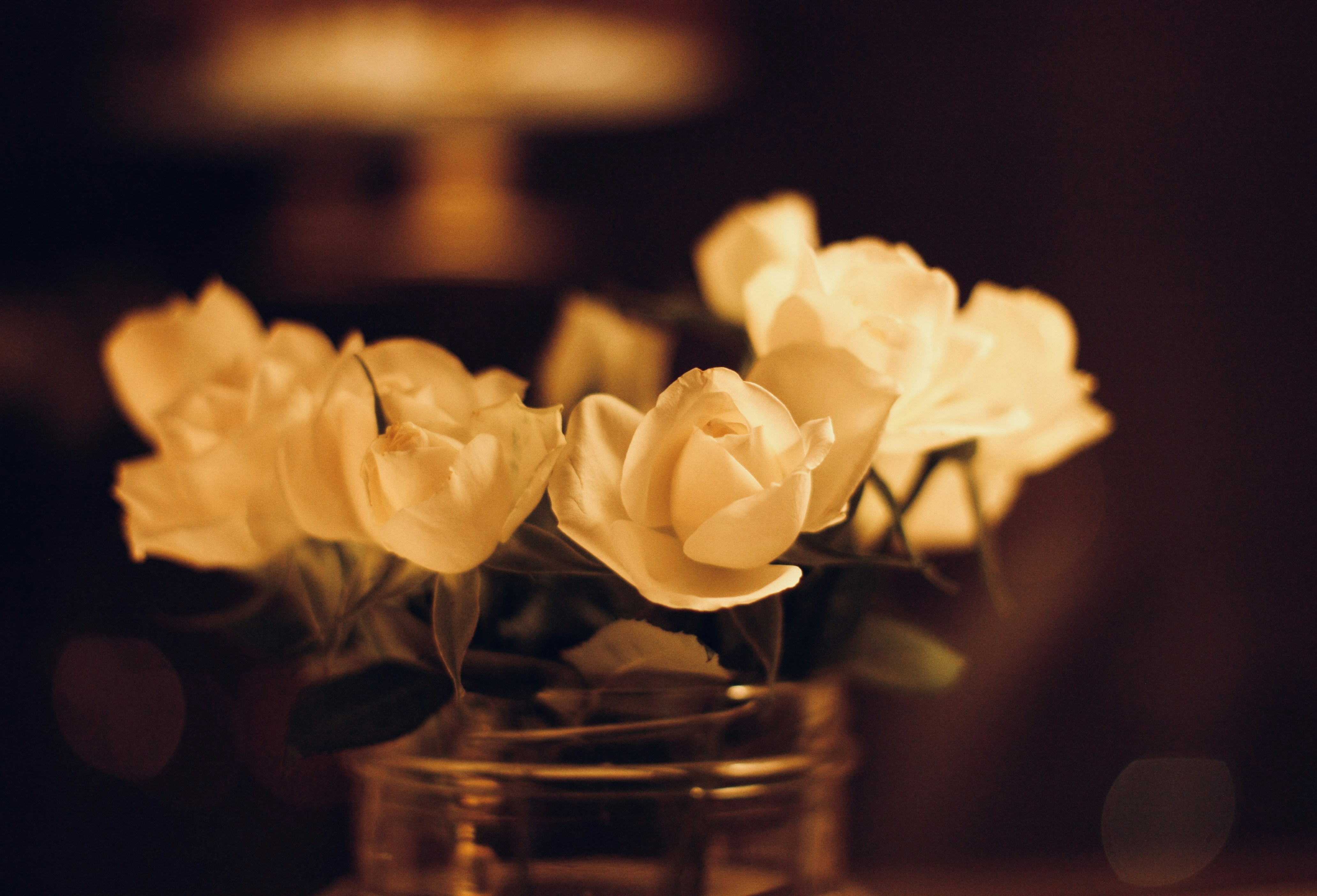 Amber Quietude: Roses in a Glass Jar