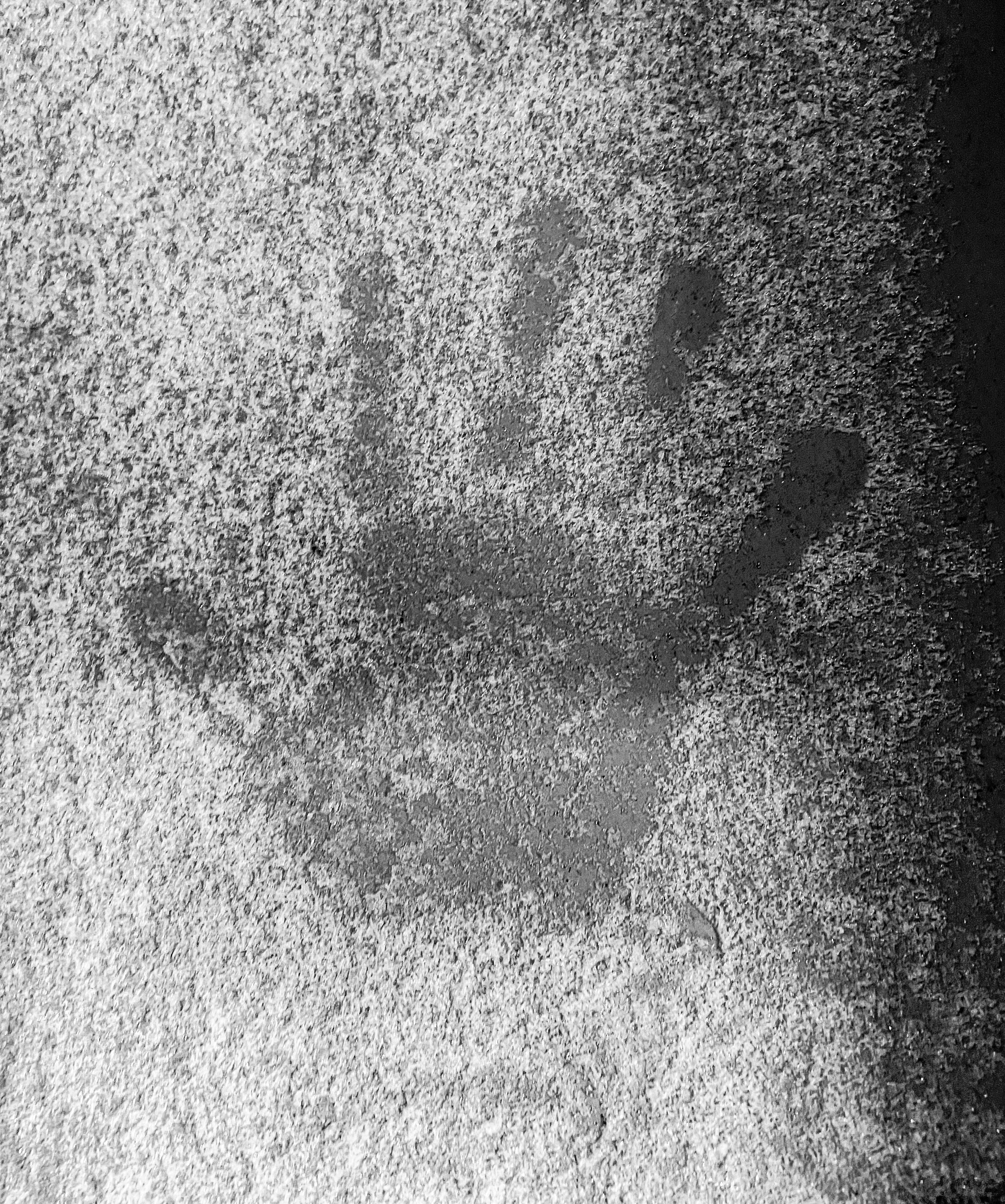 Frost-pressed Handprint on Concrete: A Quiet Texture Study