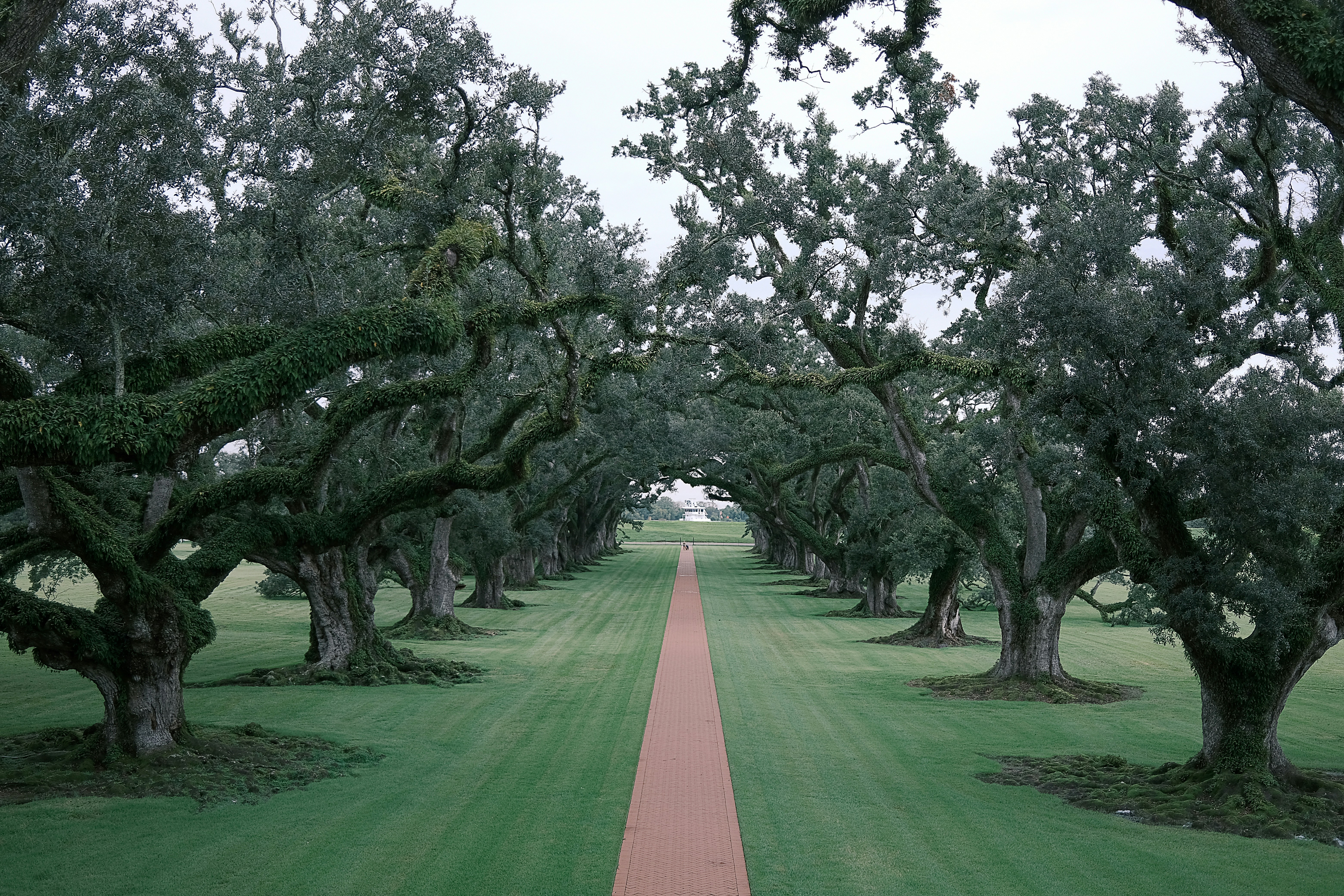 A path through a park photo – Free Usa Image on Unsplash