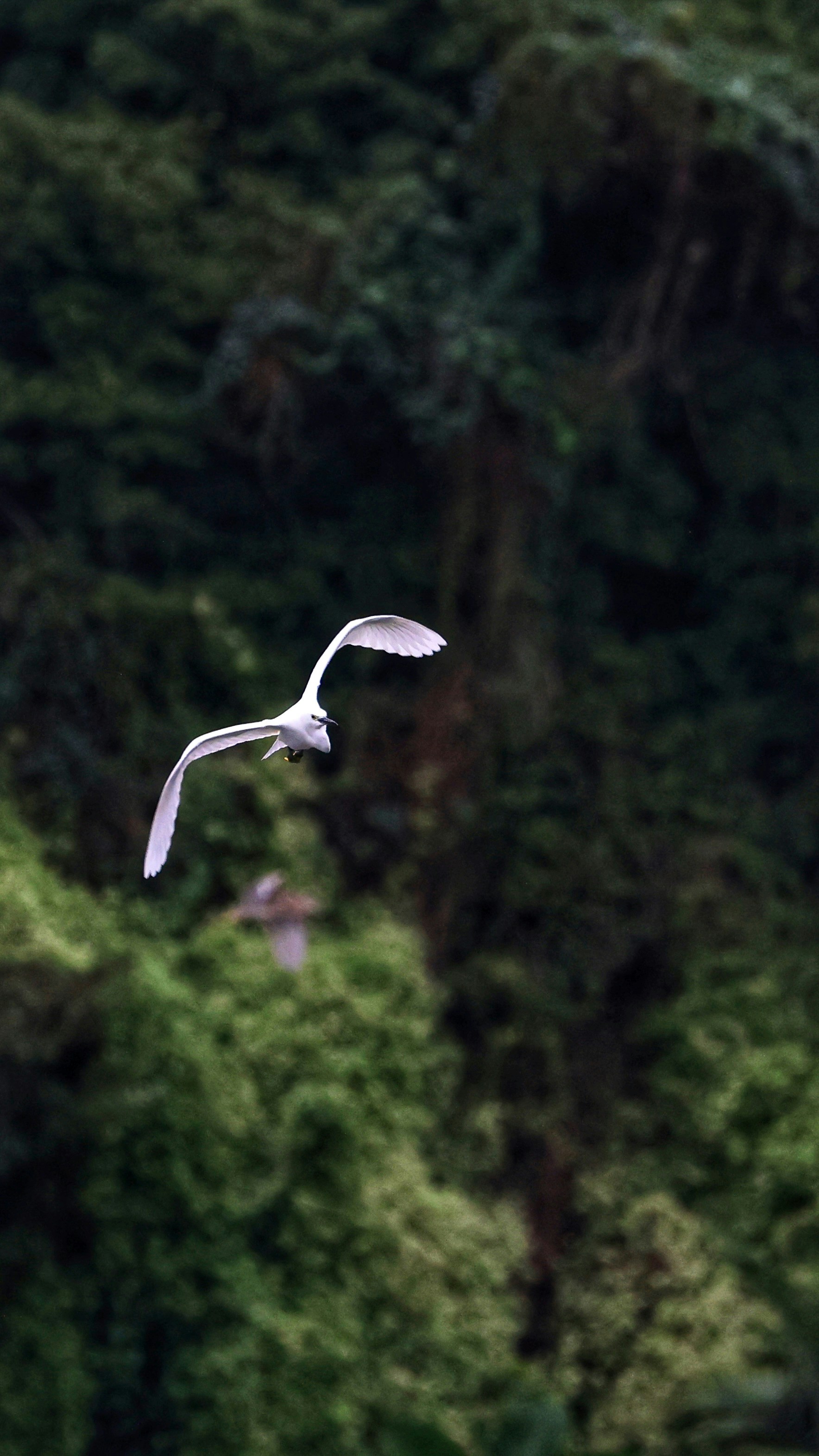 Photo by DL314 Lin with Canon EOS R5