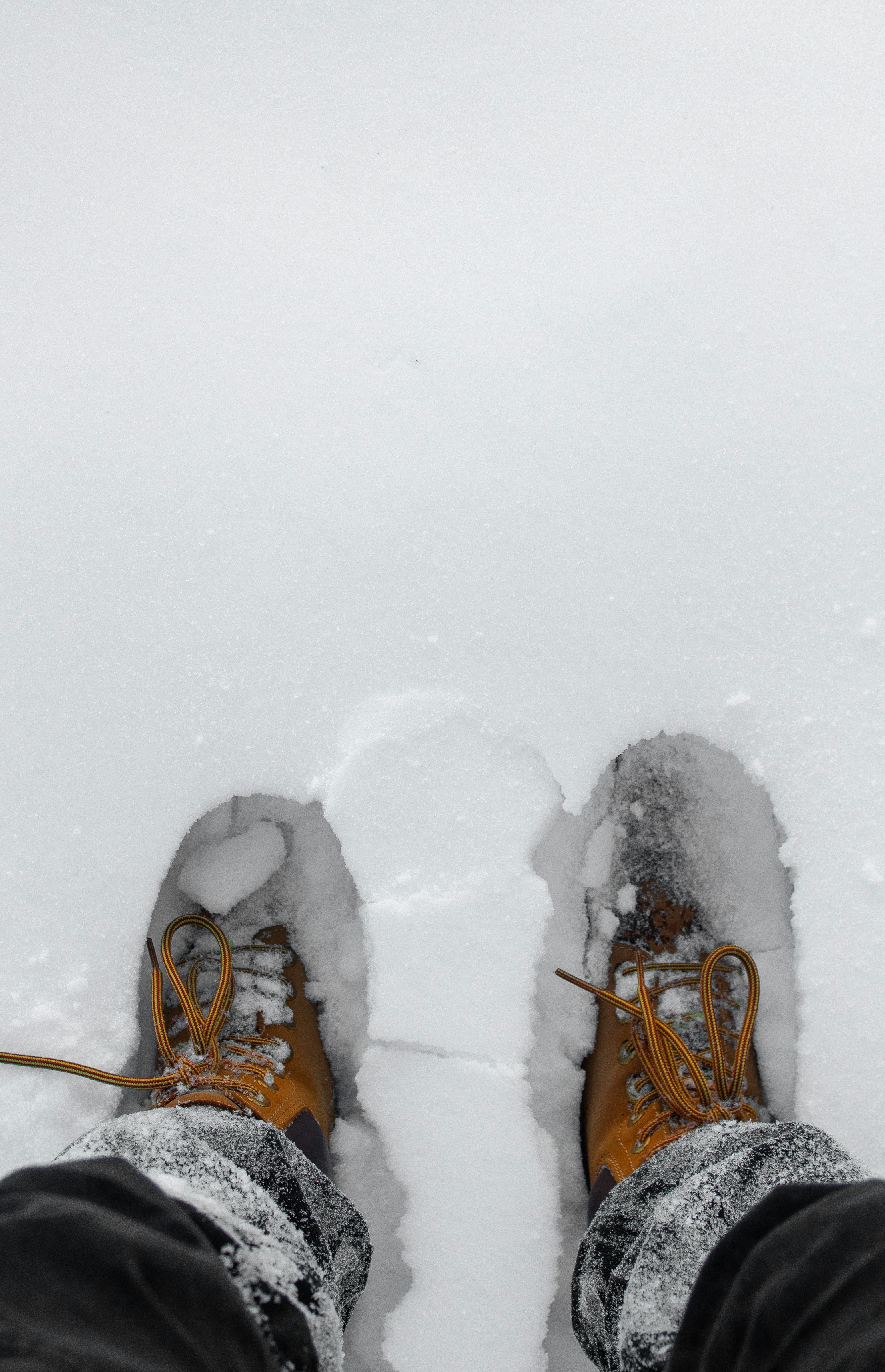A pair of feet in snow photo – Free Snow Image on Unsplash