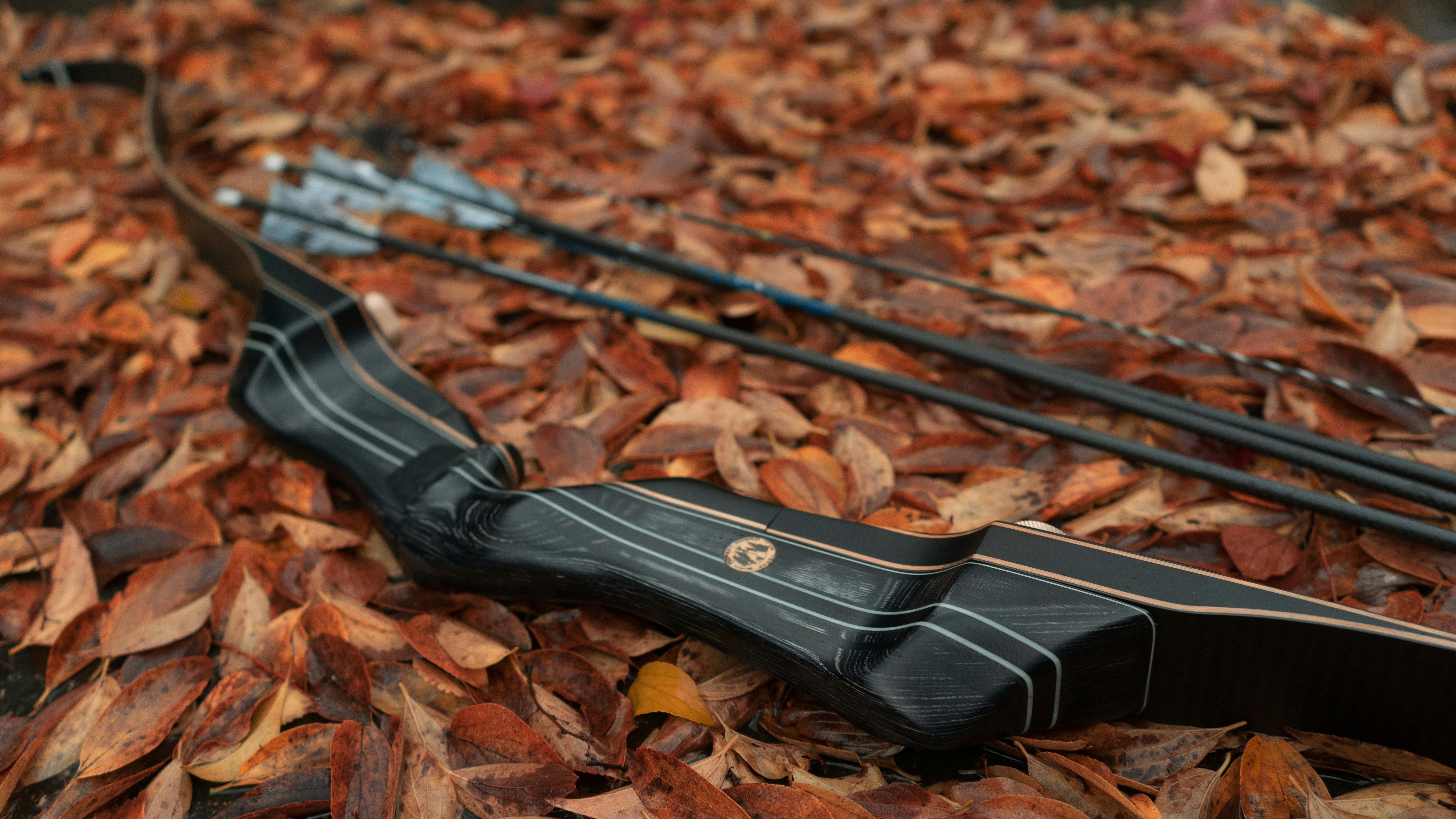 A gun lying on leaves photo – Free Archery Image on Unsplash