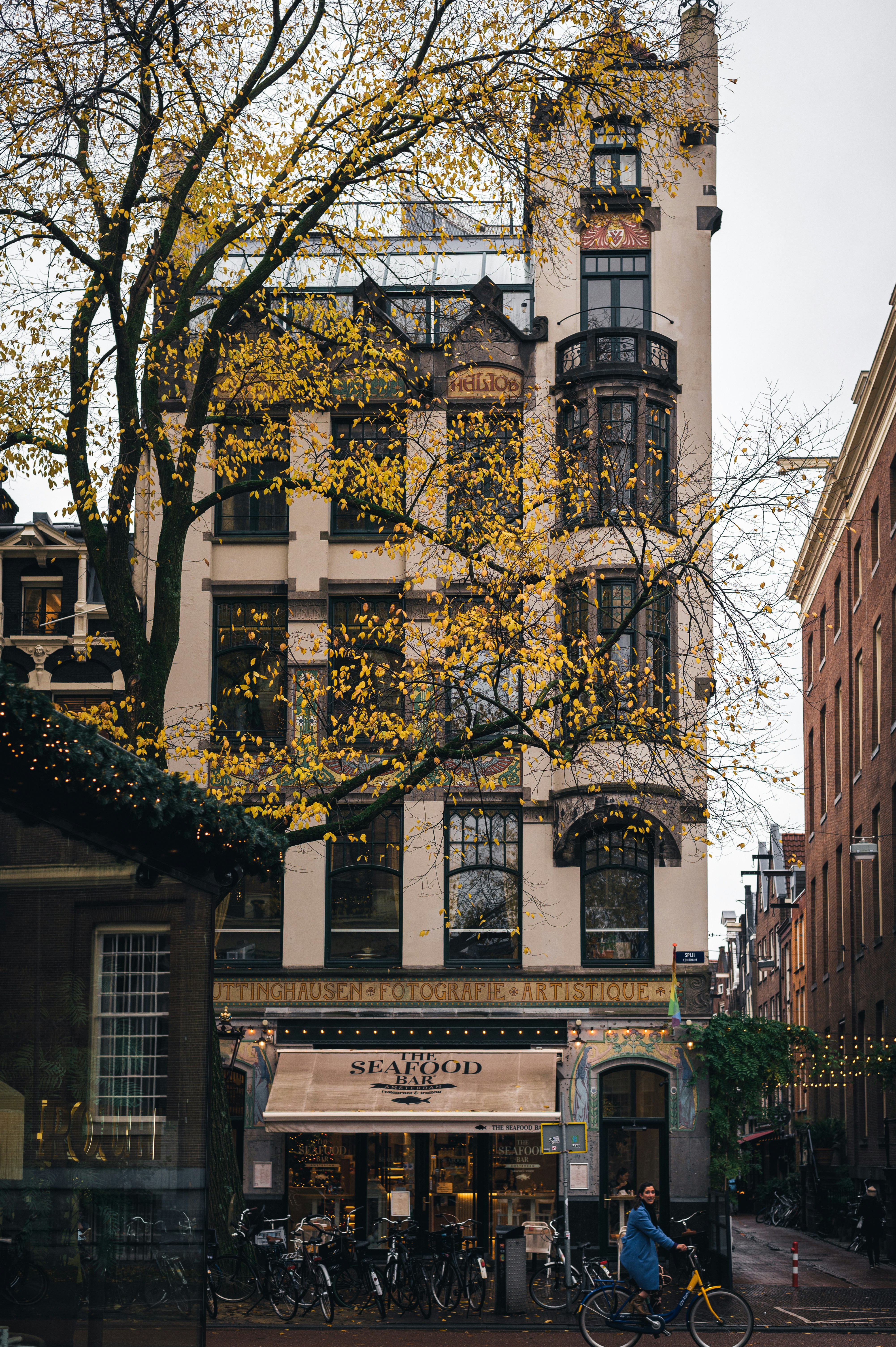 a building with a tree in front