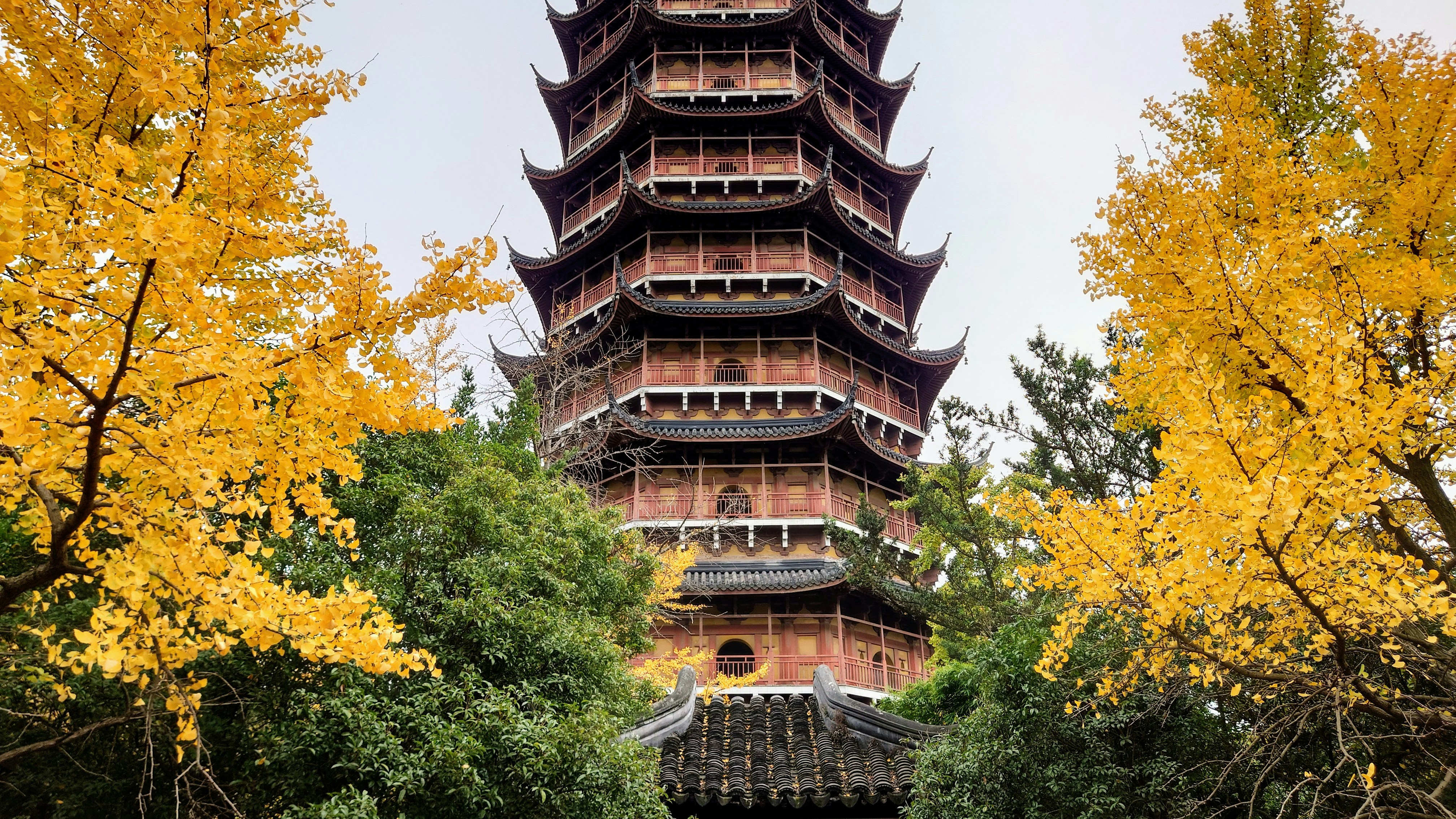 Sample photo from Sony Xperia 1 IV