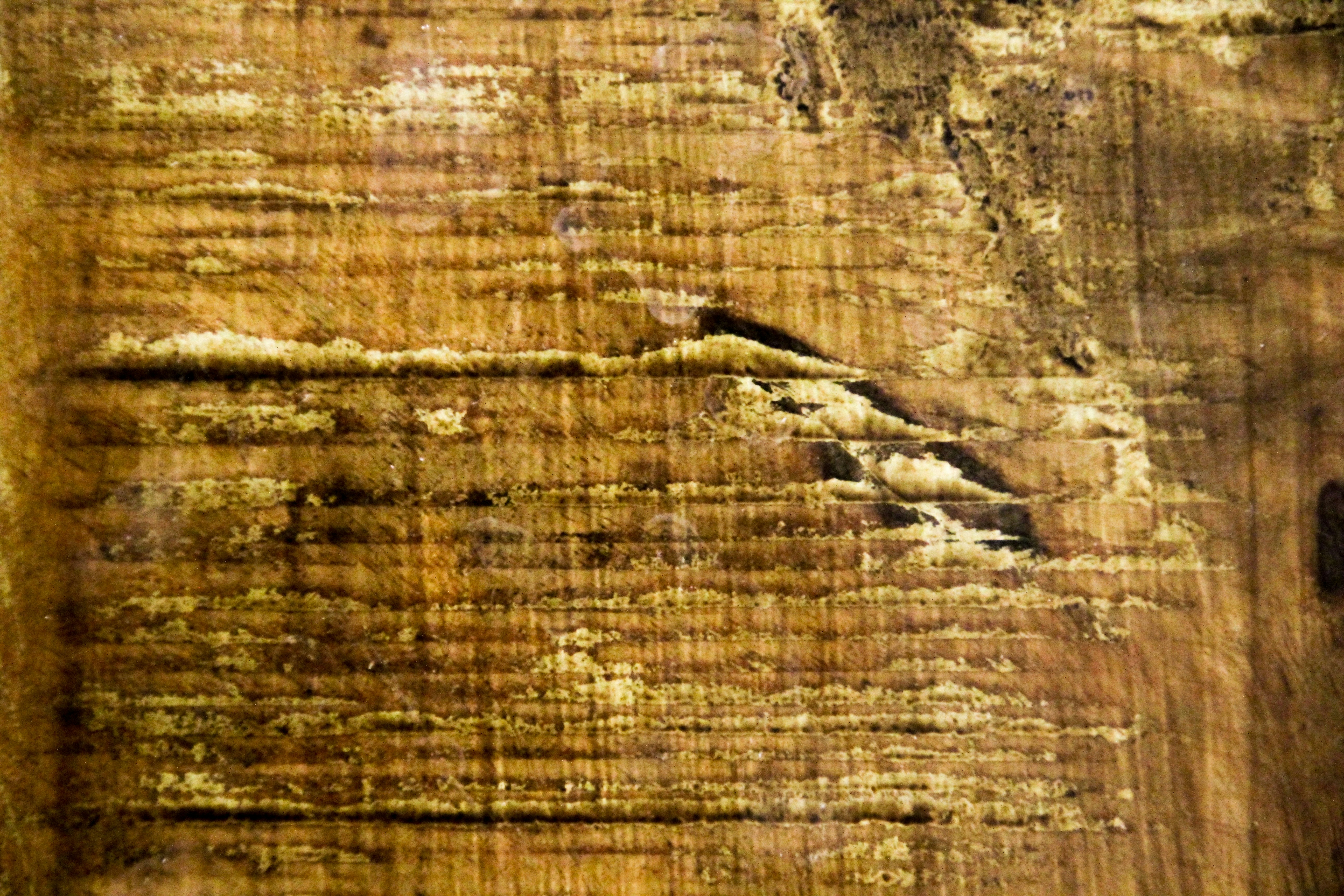 200+ Wood Pictures | Download Free Images & Stock Photos on Unsplash