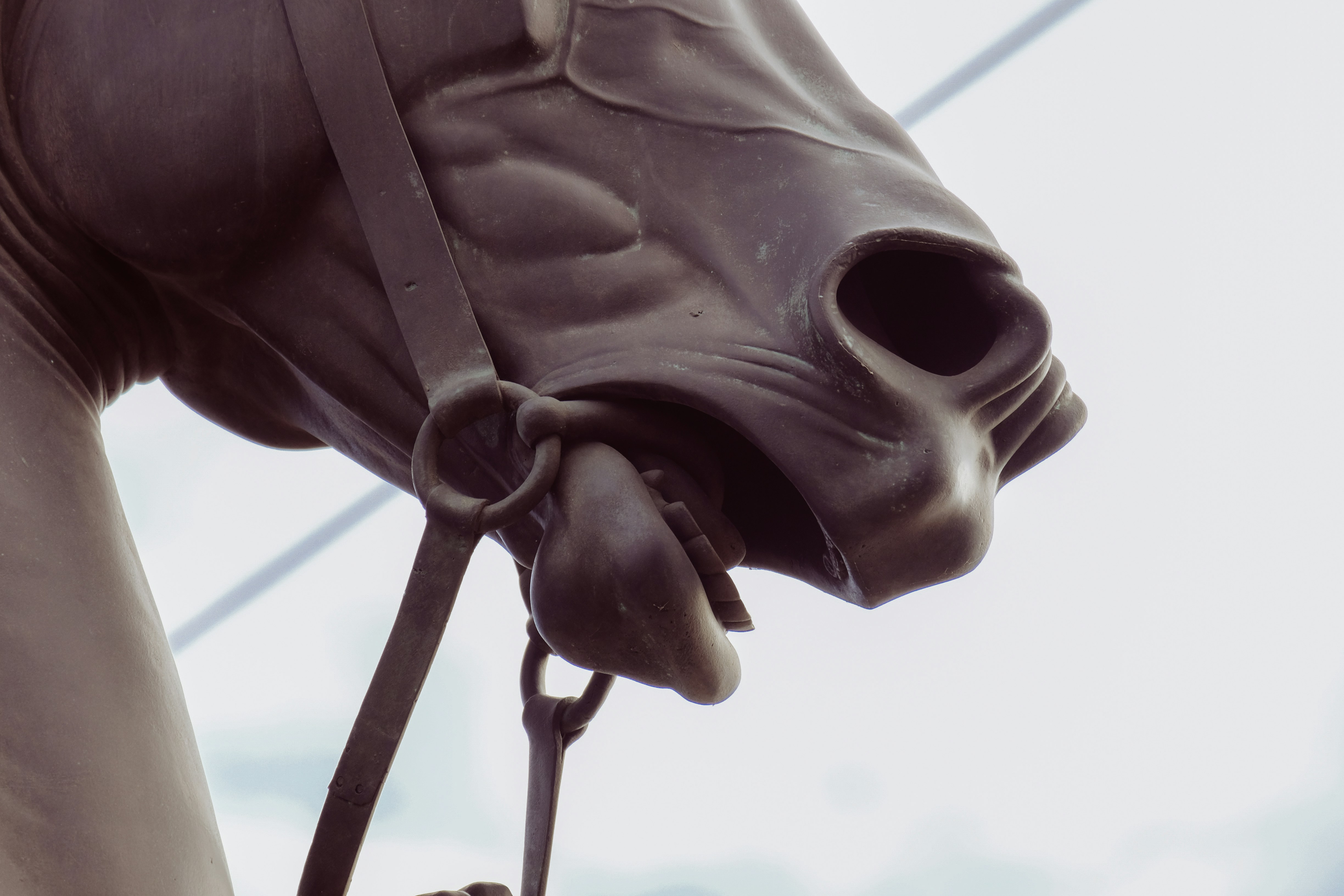 Photo by Er Sever with Fujifilm X-T10