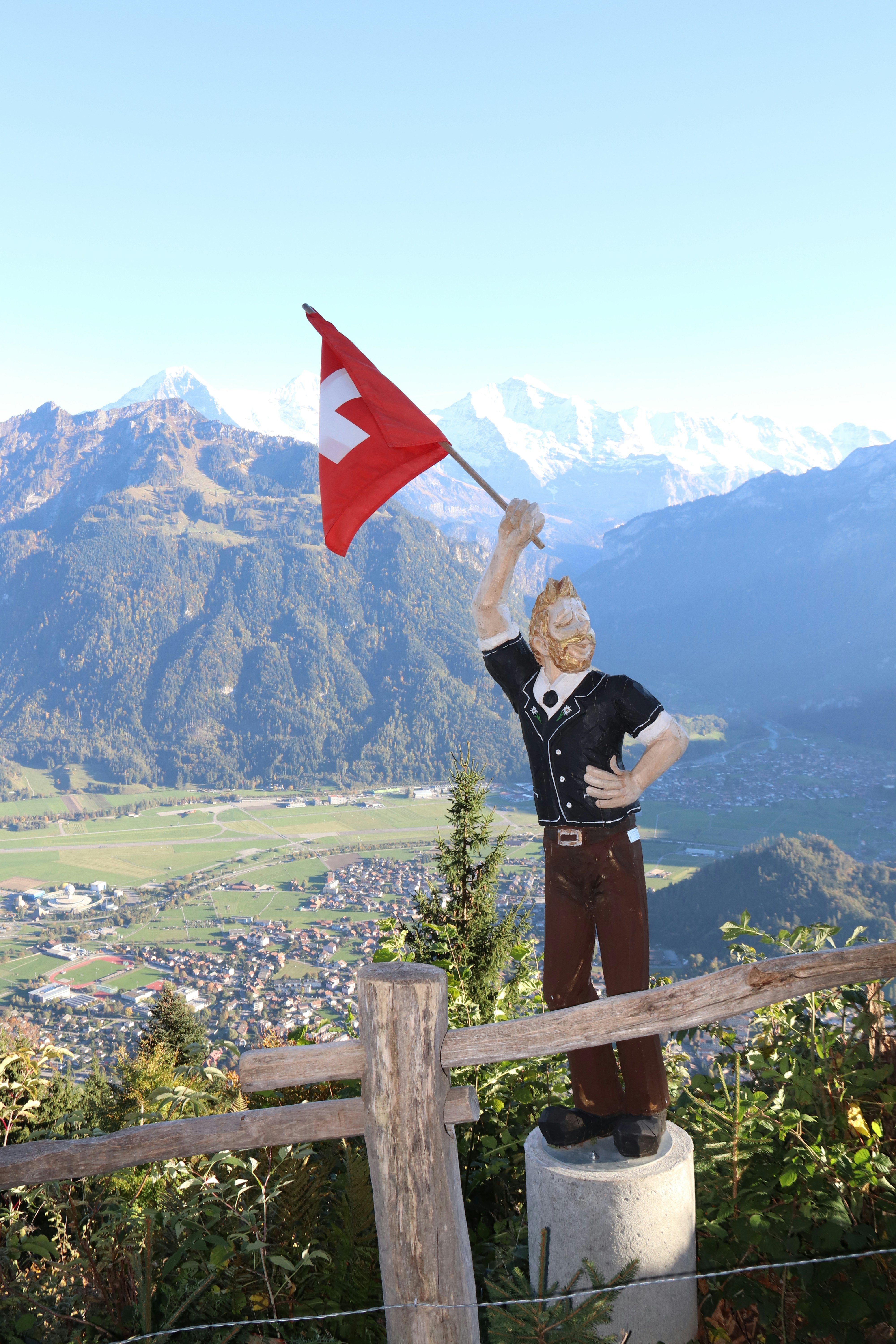 a person holding a flag