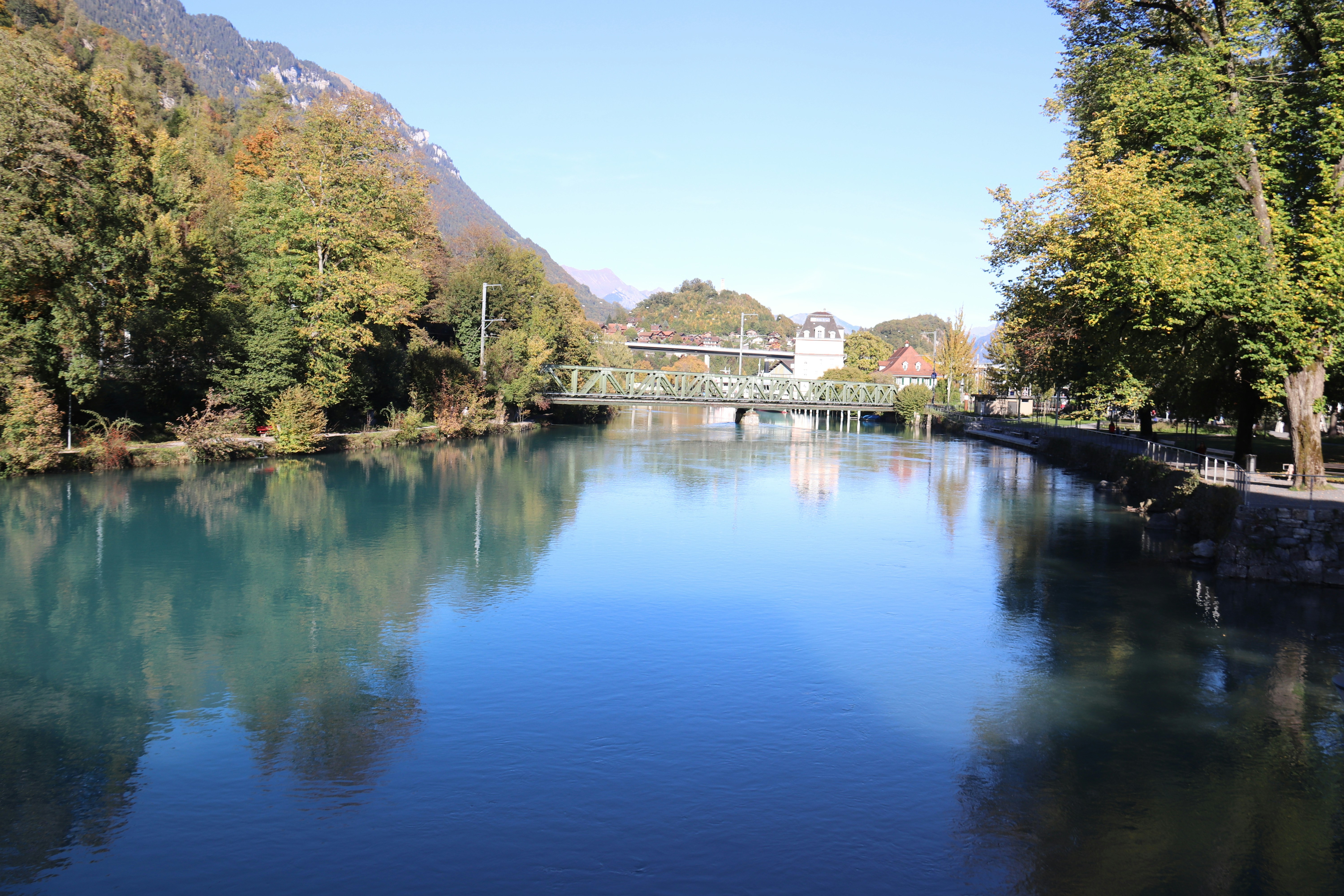A body of water with trees and buildings around it photo – Free ...