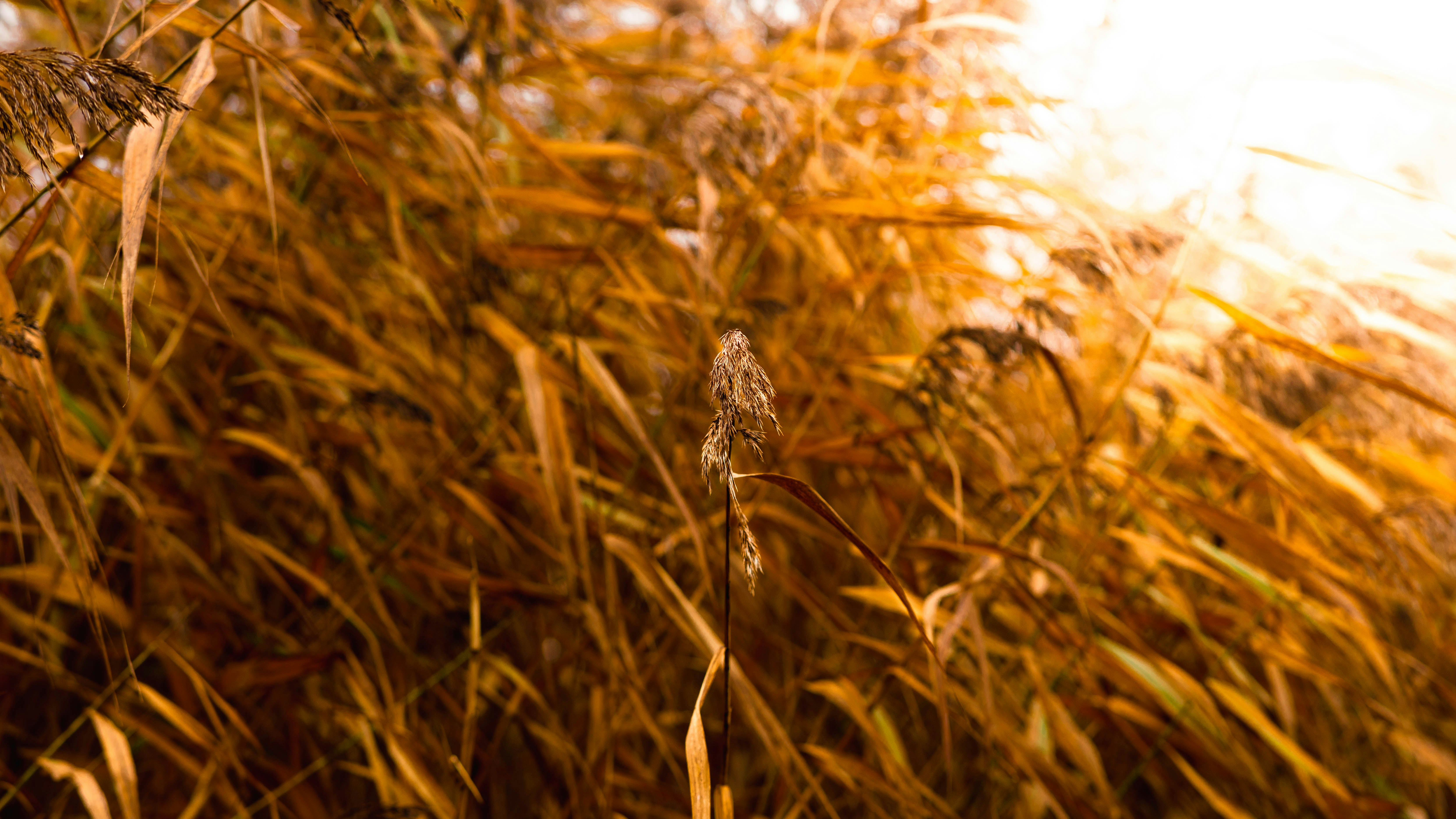 Photo by Kevin Krüger with Sony Alpha 7 IV