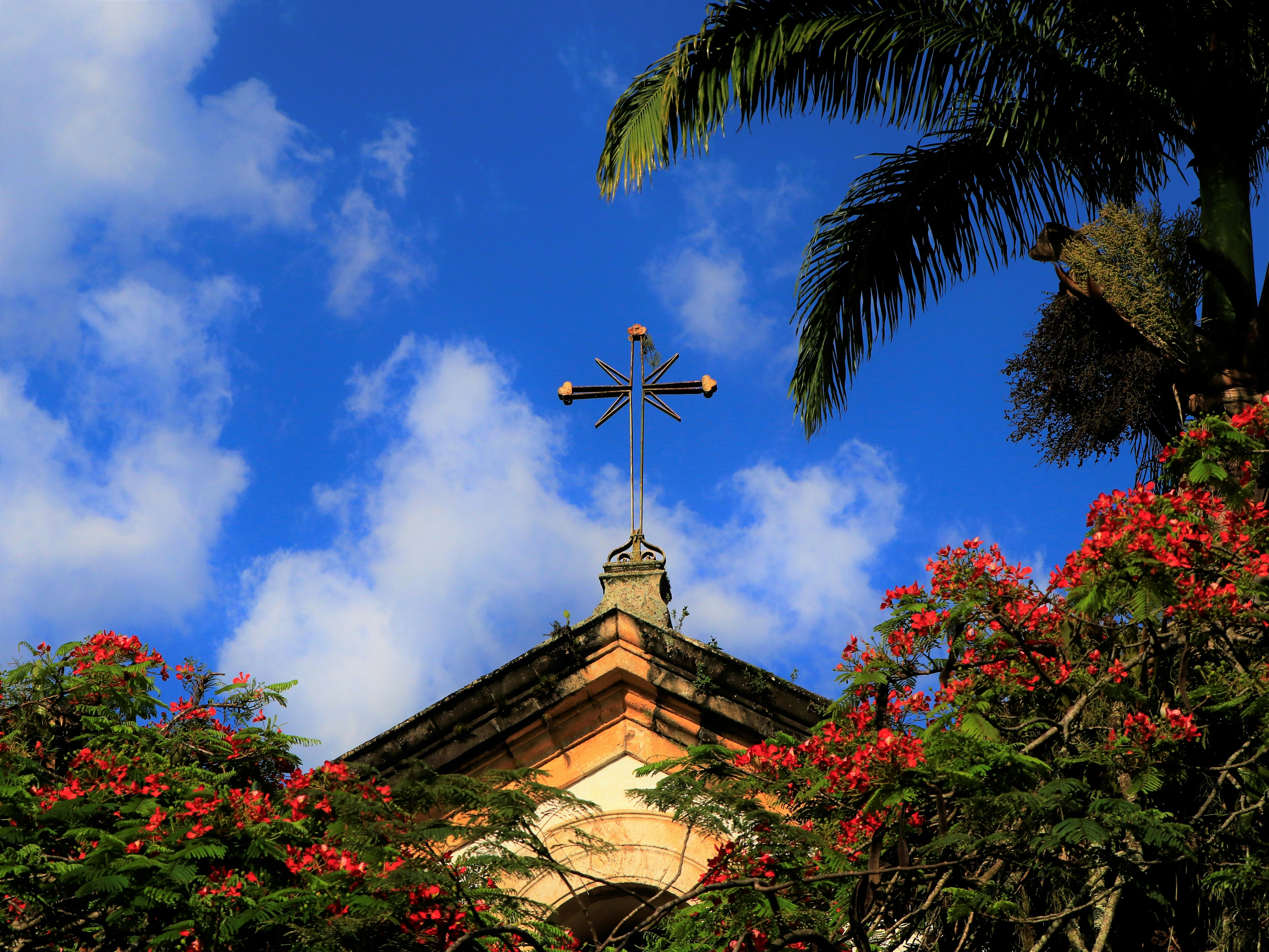 Cross atop a sunlit chapel framed by tropical foliage