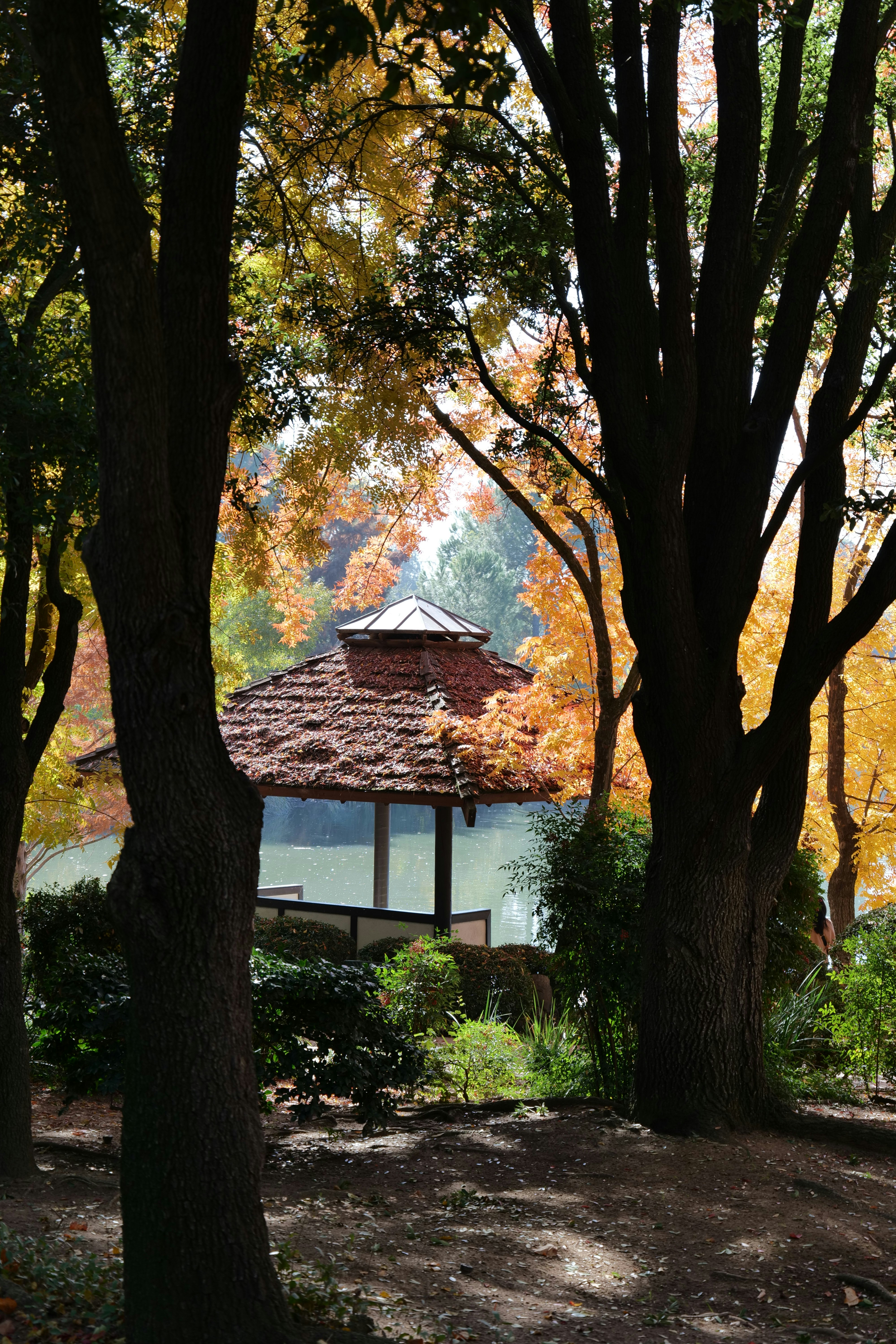 Golden-Grove Gazebo: Autumn Light by the Lake