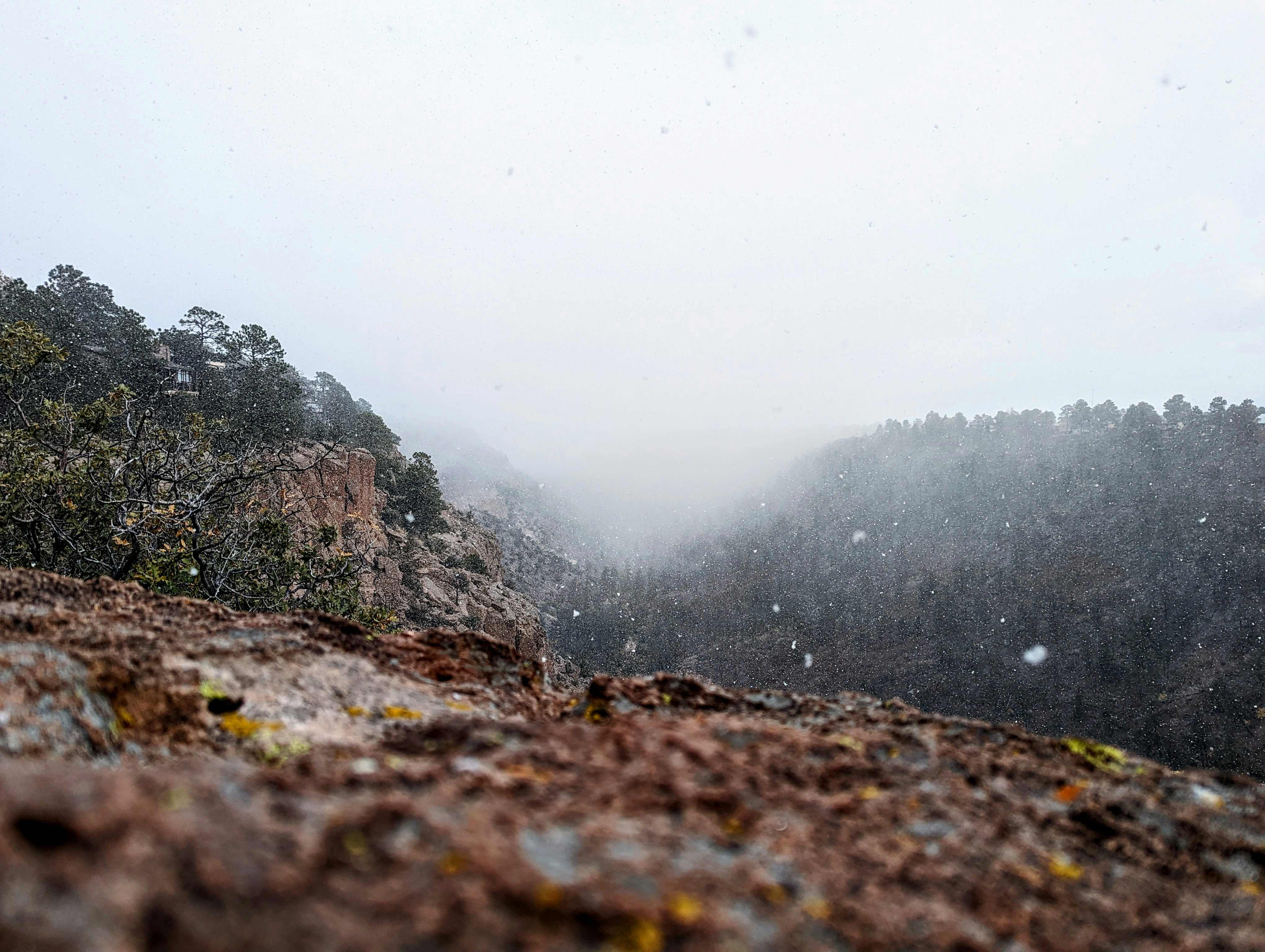 Snowfall at the Cliff's Foreground: A Ground-Level Look into a Foggy Canyon