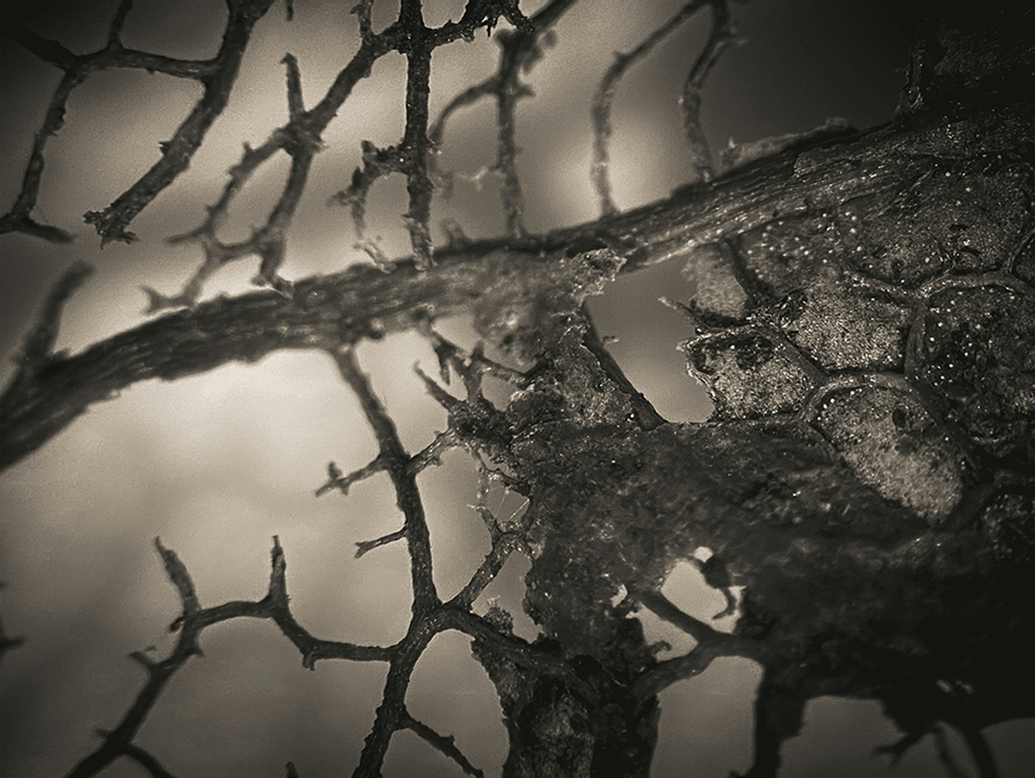 taylor grace (@taylorgrace) | Comunidade de fotos da Unsplash