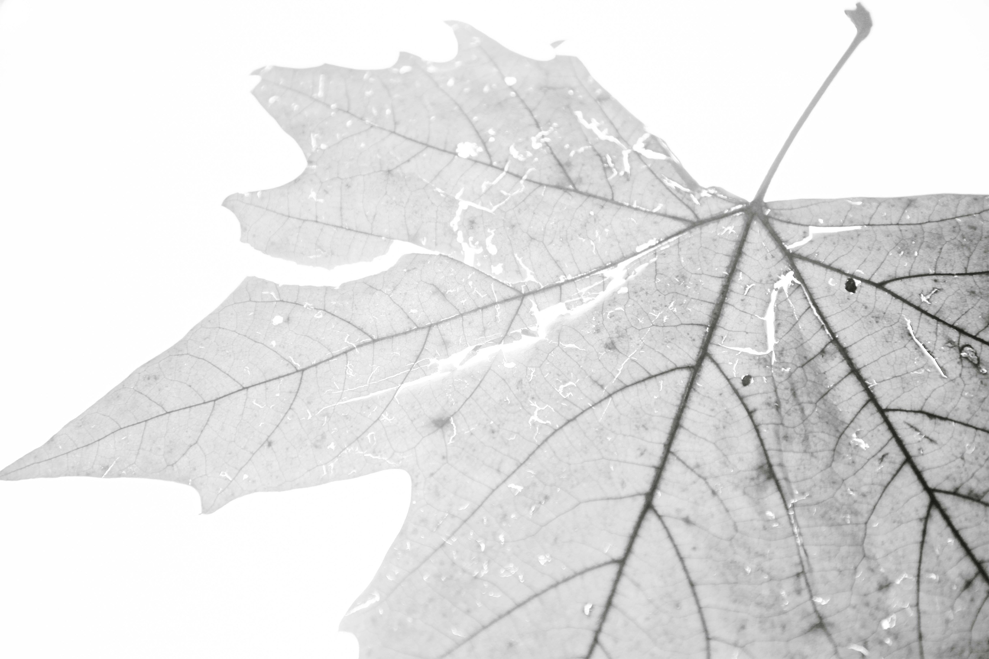 taylor grace (@taylorgrace) | Comunidade de fotos da Unsplash