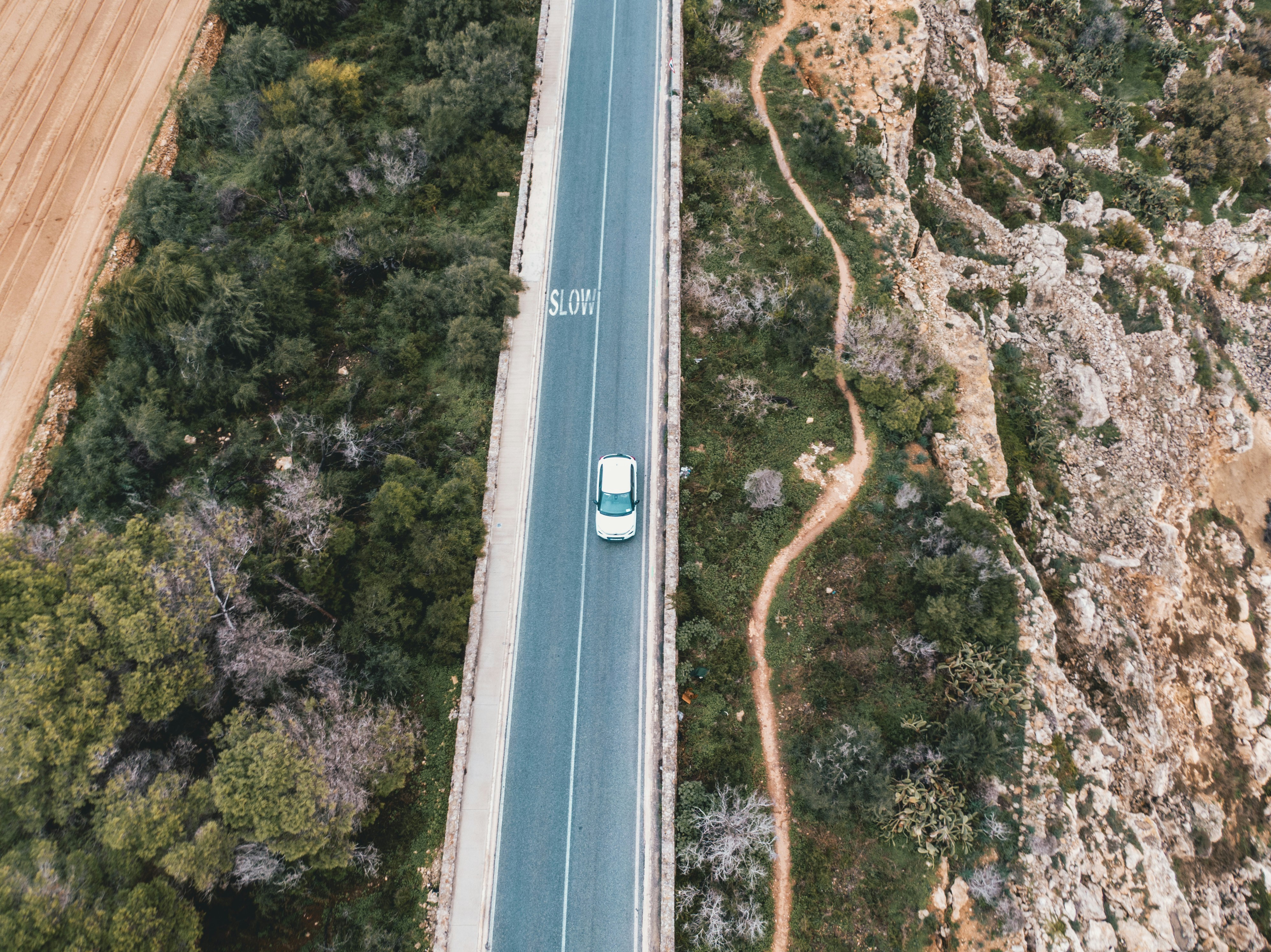 Car driving on the road near the coast.