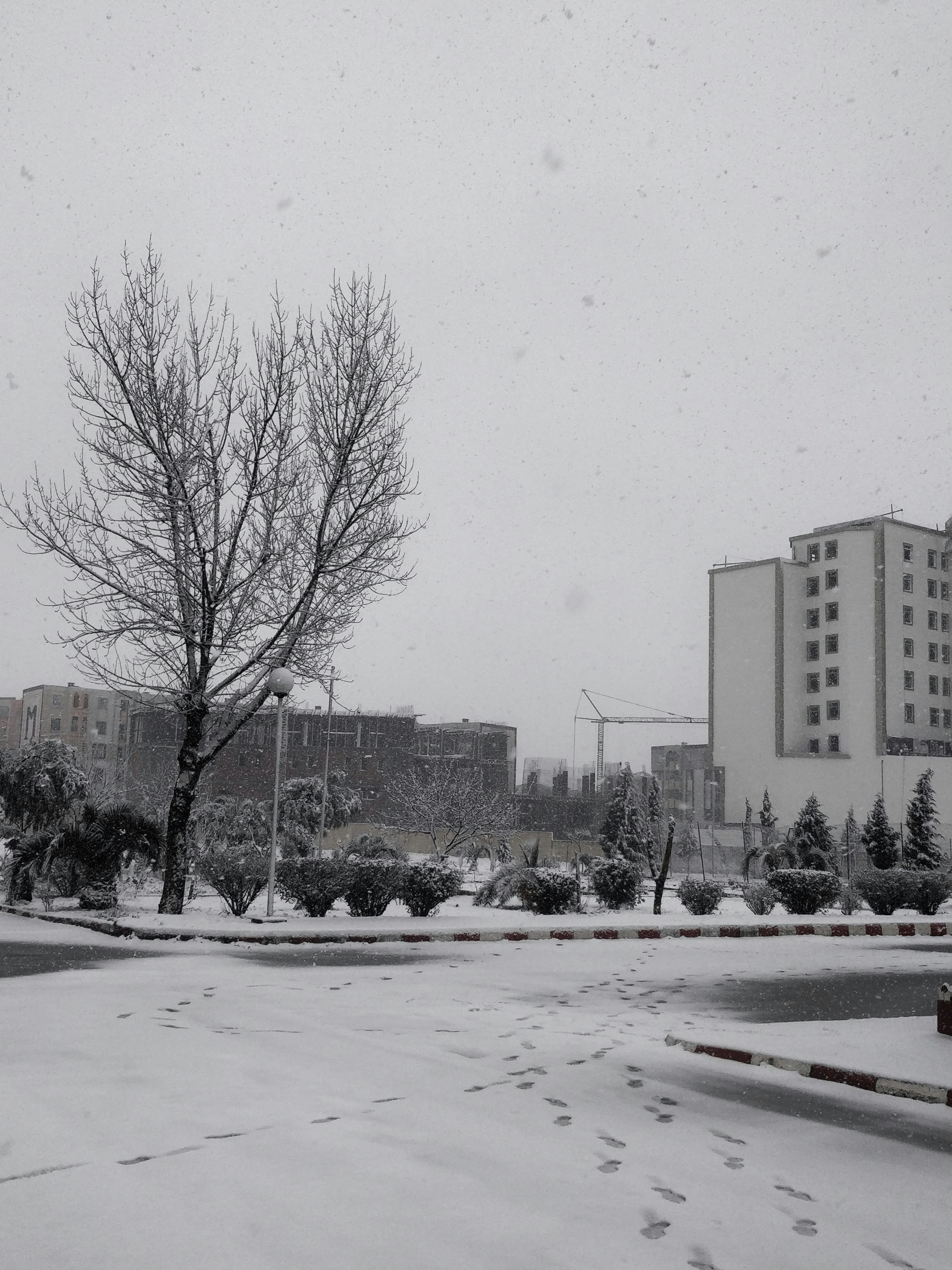 Missing snow🖤❄️.