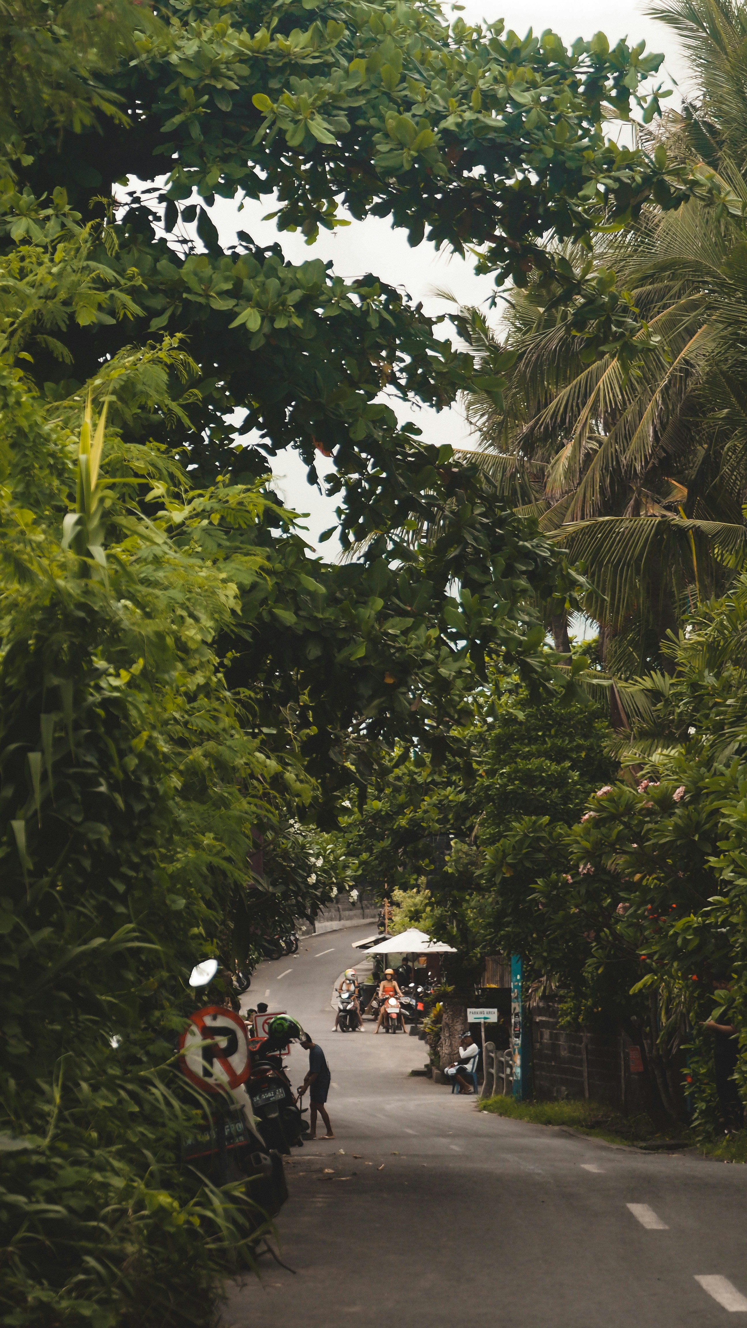 Jungle fever