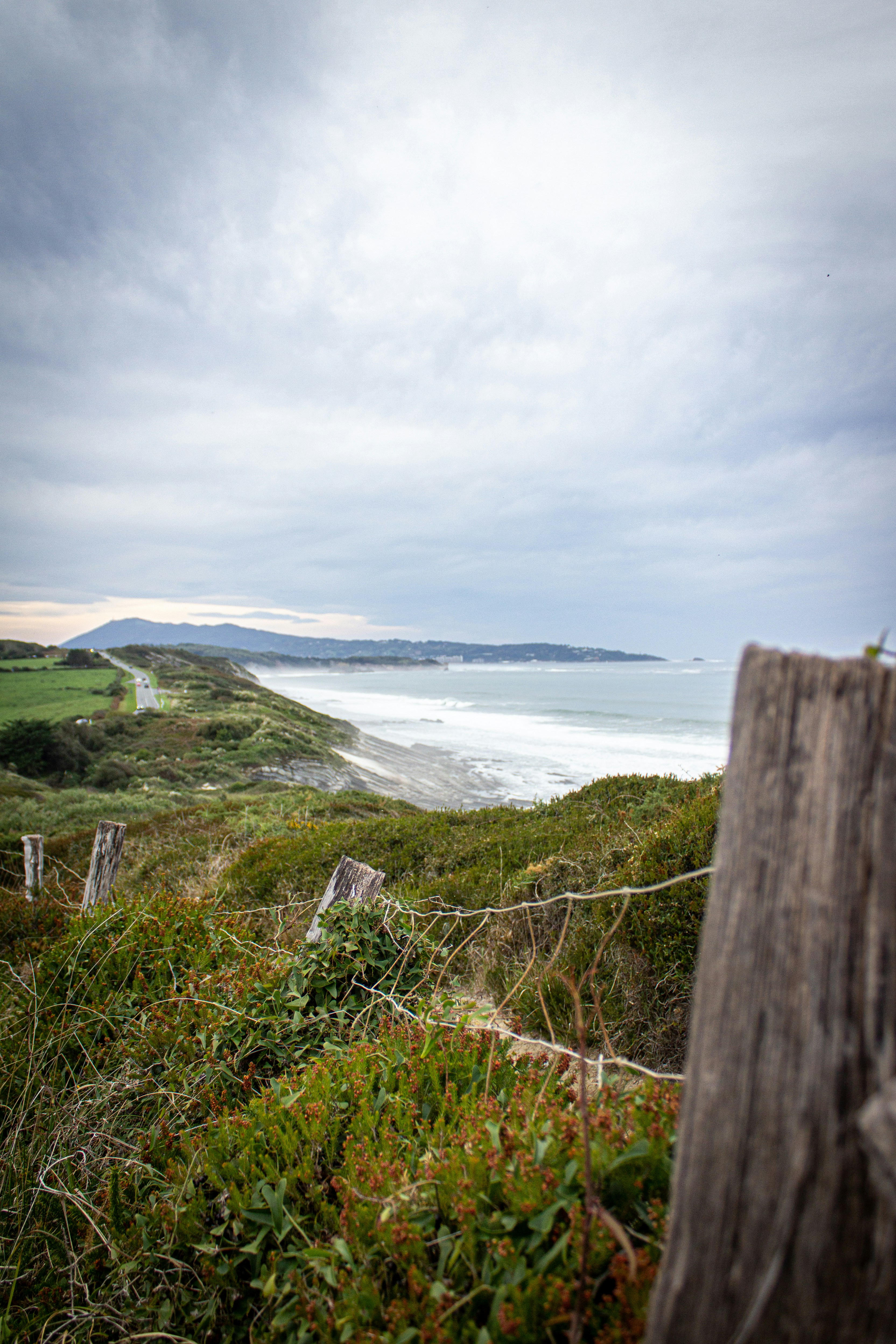 Coastal Fence Line: Path to the Horizon