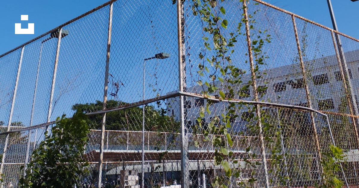 金属製の棒と建物を背景にした金属製のフェンスの写真 Unsplashのサンボン チュエン ティエン ザンの無料画像