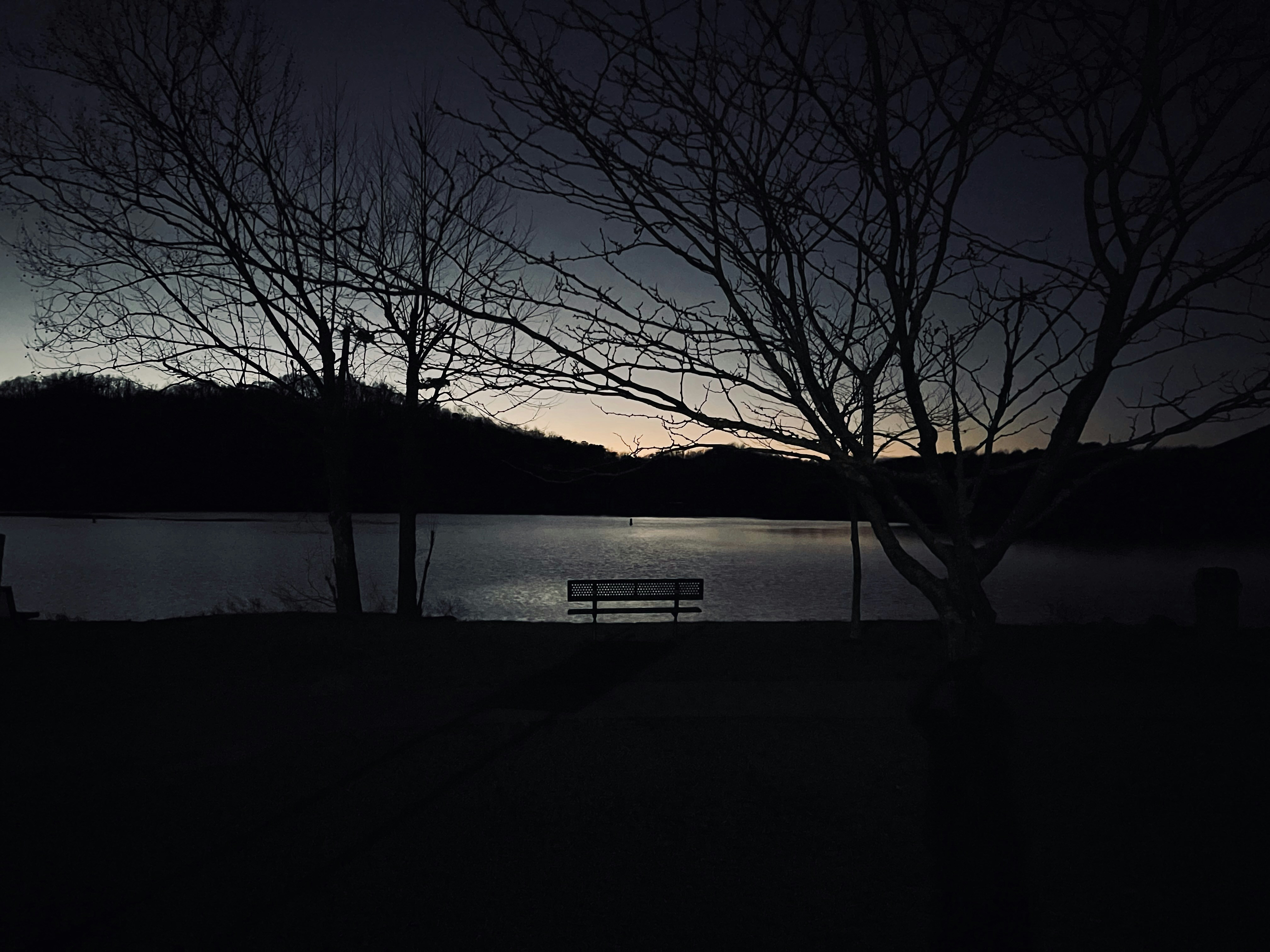 Ryan Thorpe (@tylilo) | Comunidad de fotos de Unsplash