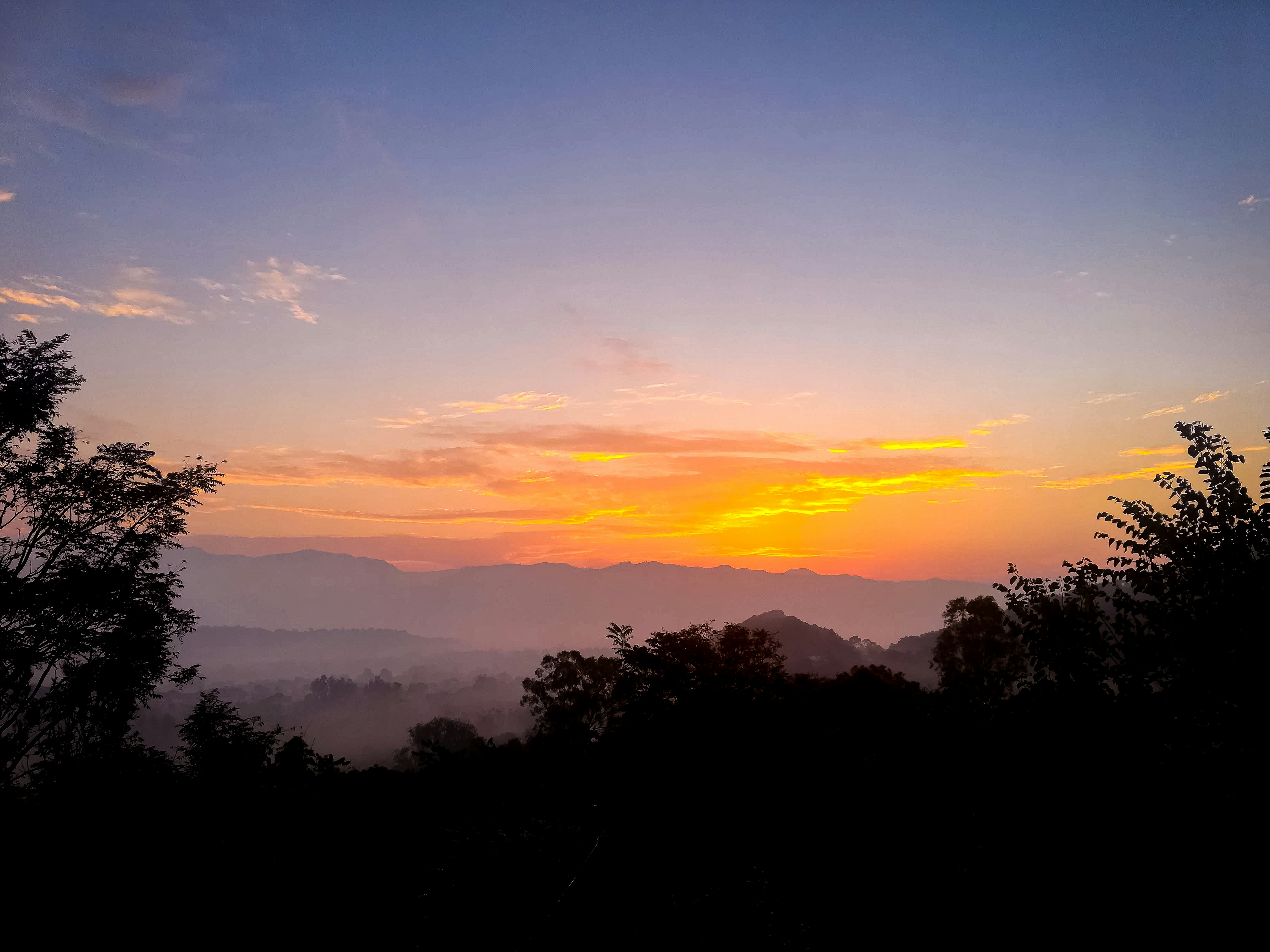 A sunset over trees photo – Free Himachal pradesh Image on Unsplash