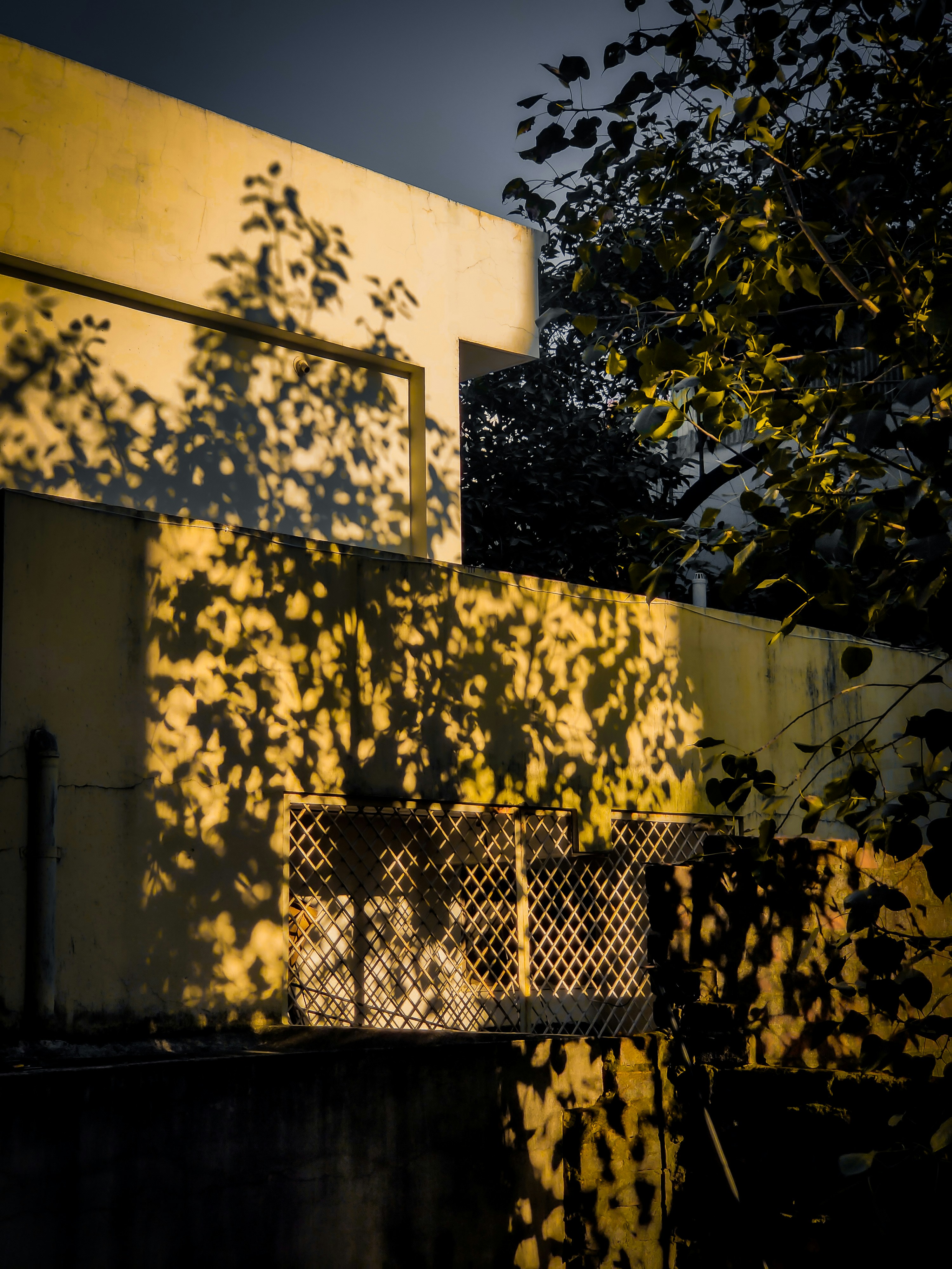 Vishvraj Singh Tomar (@vst30) | Unsplash Photo Community