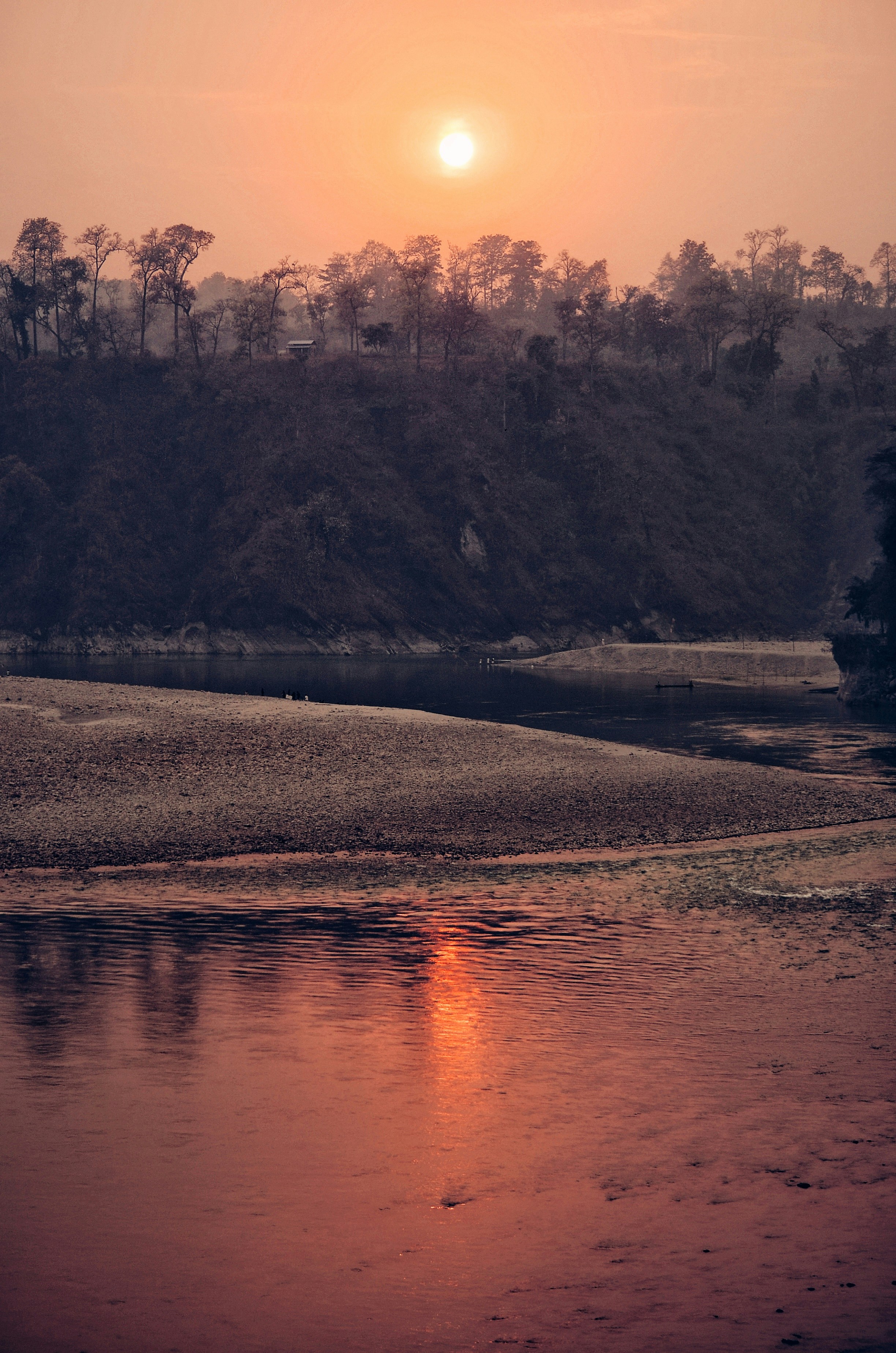 A sunset over a forest photo – Free Sunset Image on Unsplash