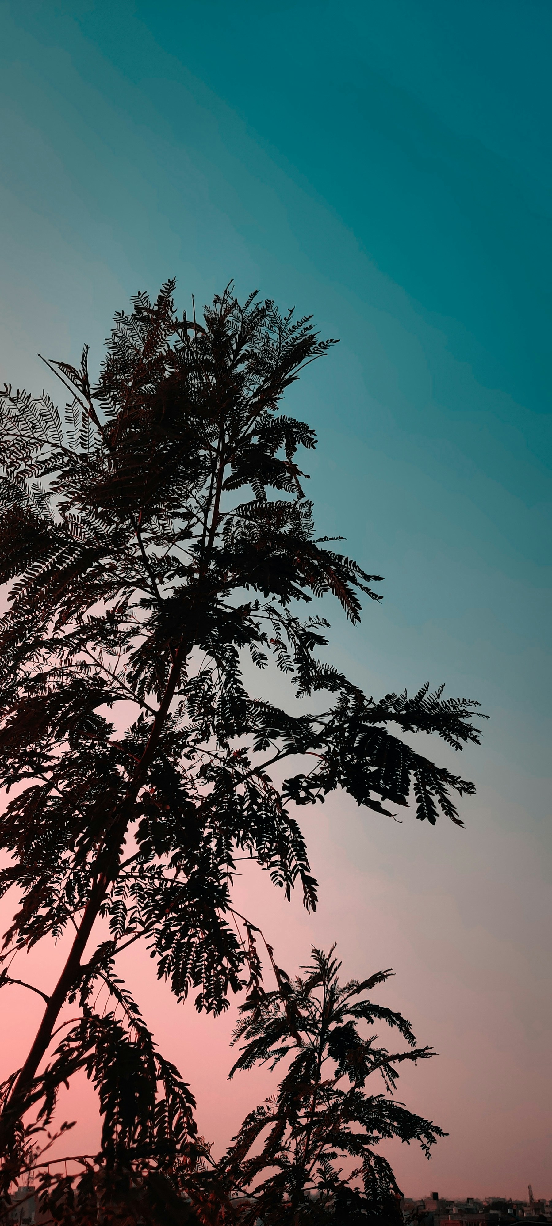 Vishvraj Singh Tomar (@vst30) | Unsplash Photo Community