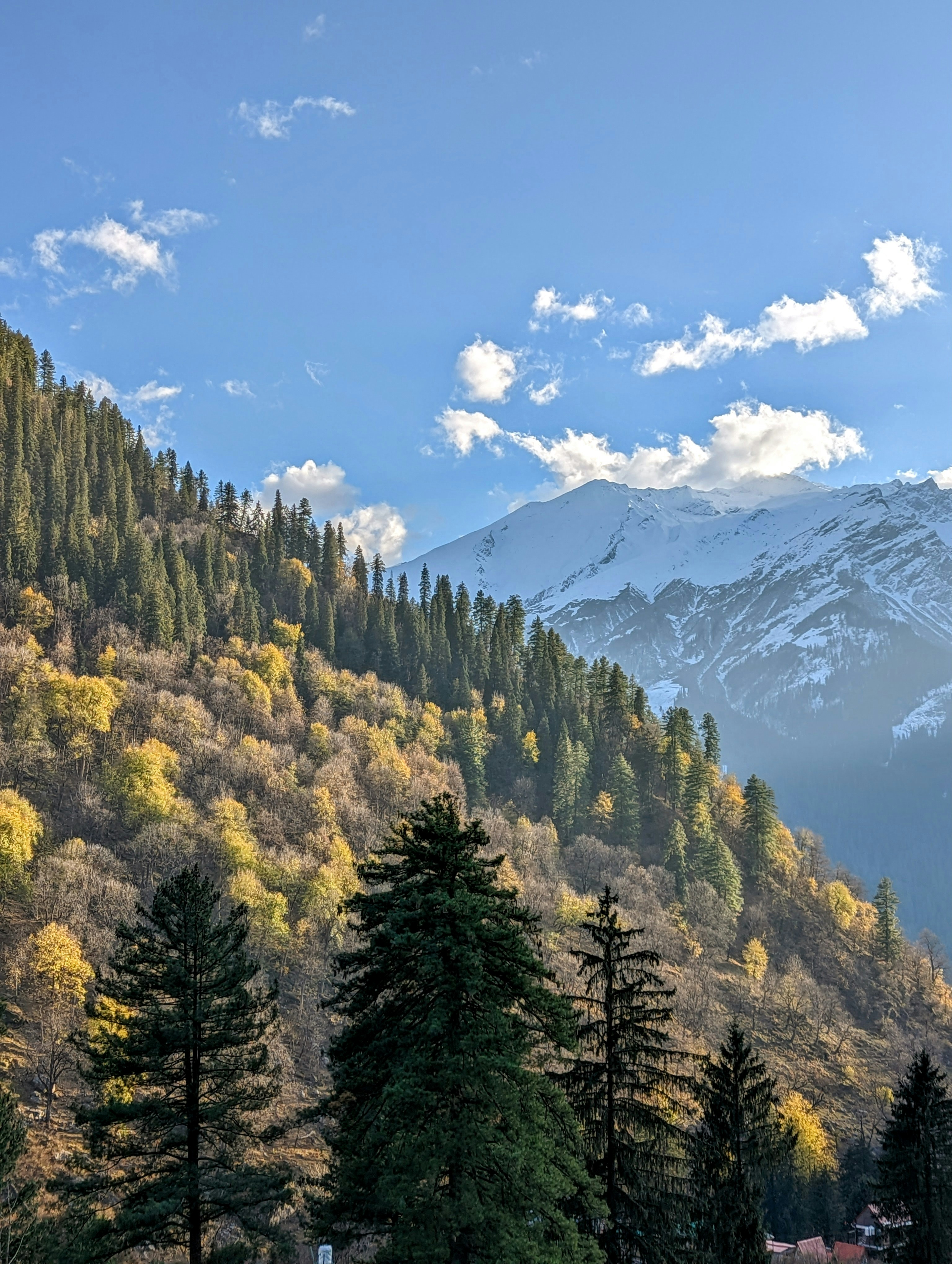 A landscape with trees and mountains photo – Free Tosh Image on Unsplash