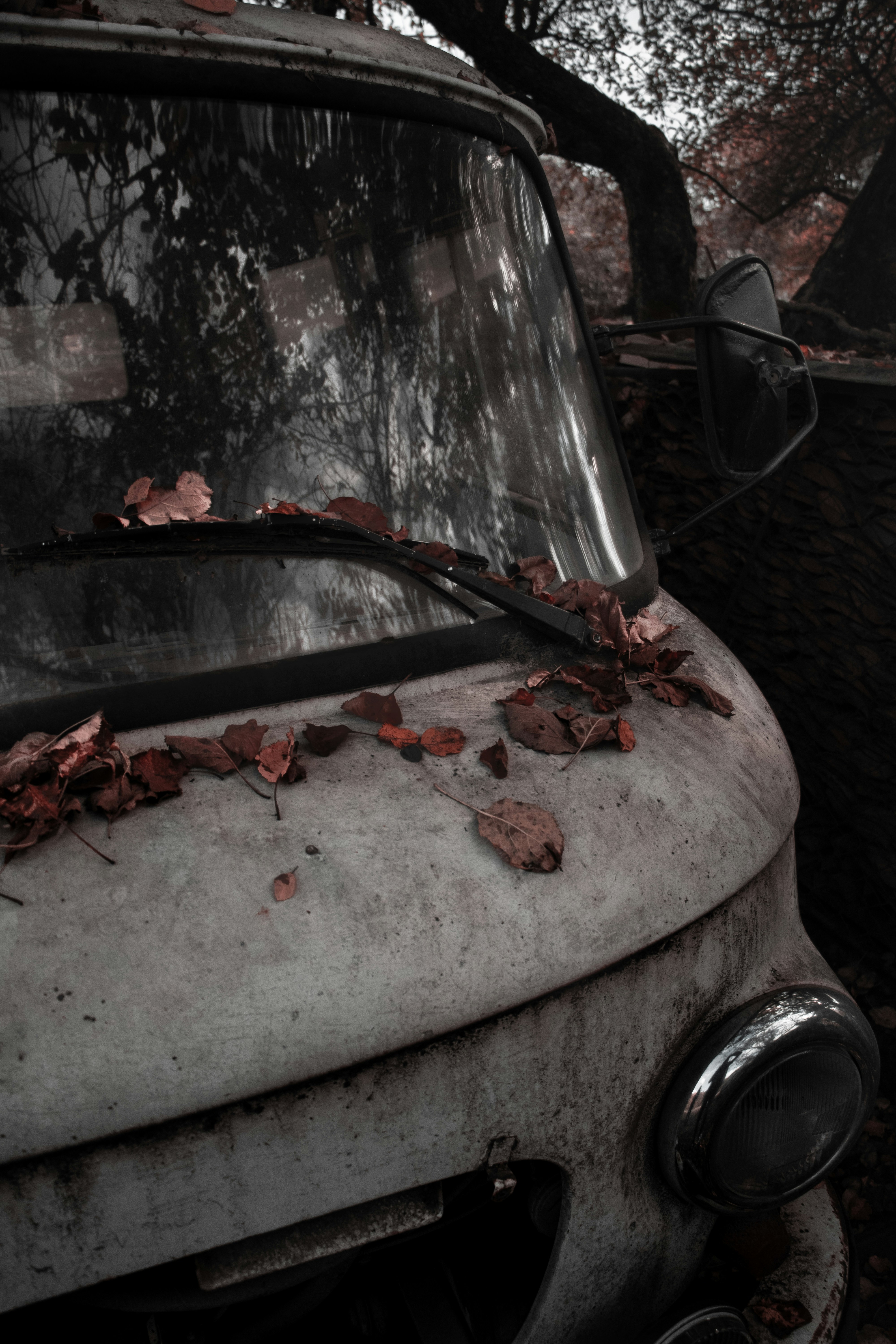 Autumn Ghost: The Weathered Van Guarded by Fallen Leaves