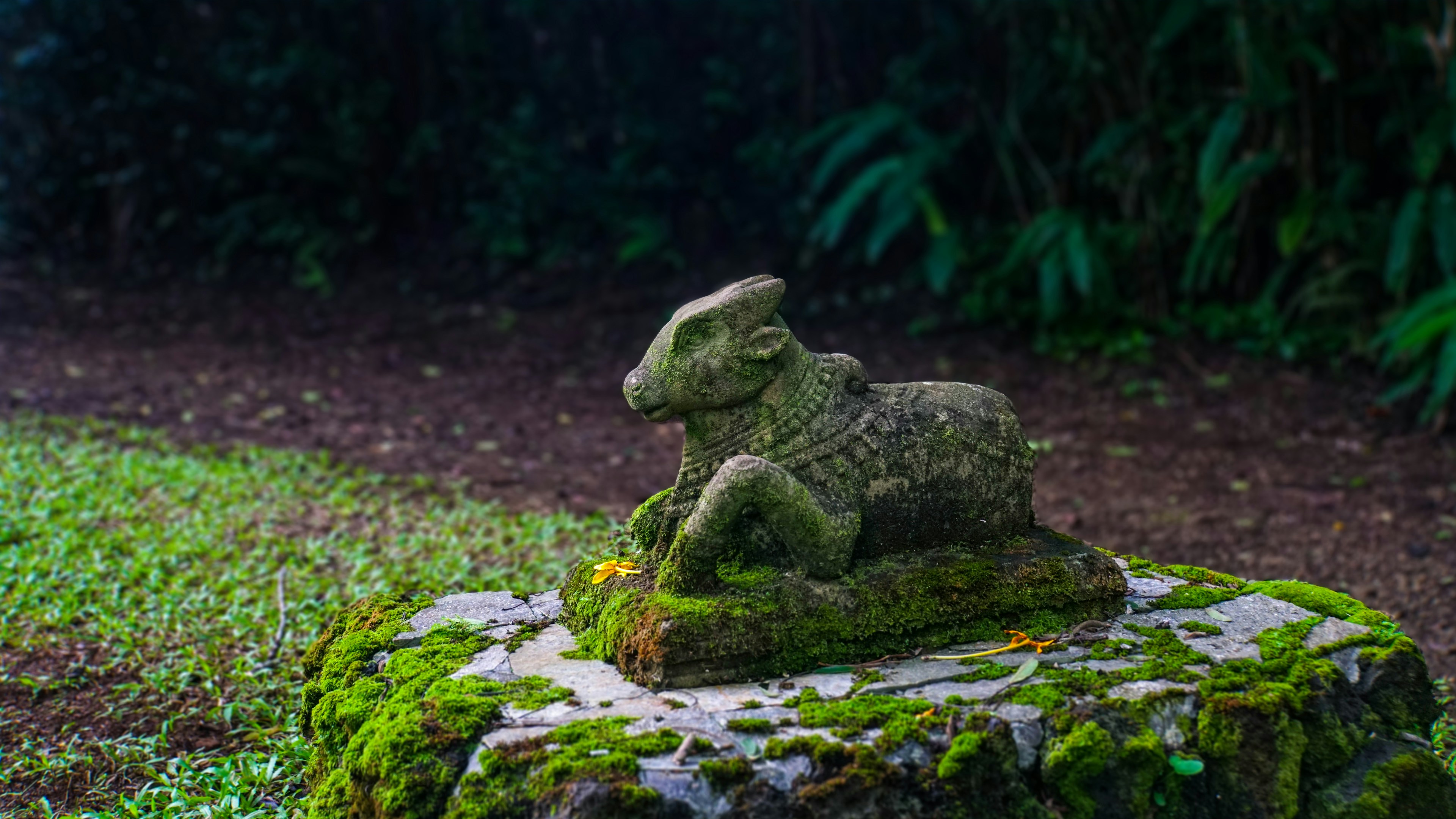 A statue of a frog photo – Free Kauai's hindu monastery Image on Unsplash