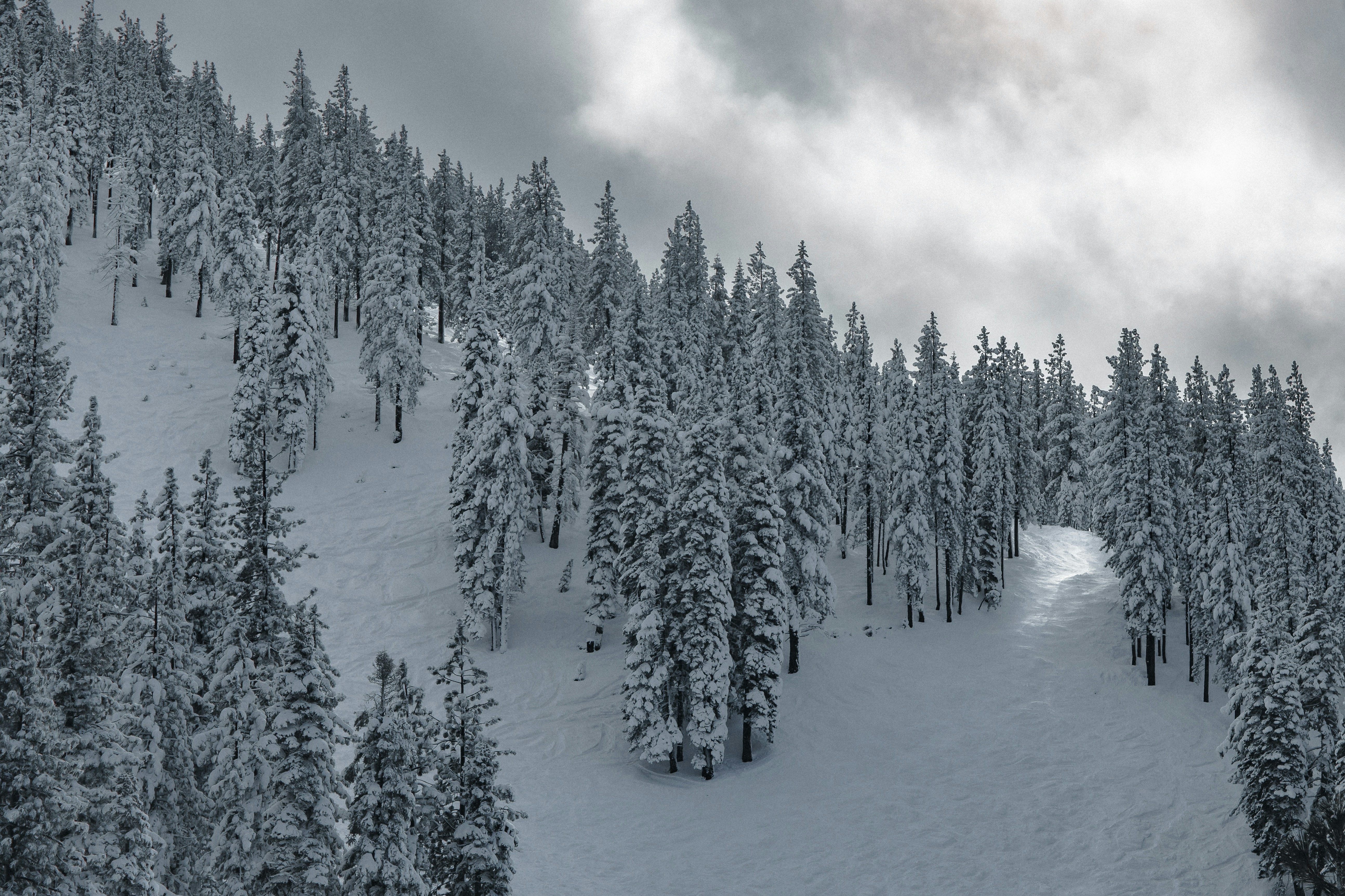 Gambar Bukit Ski | Unduh Gambar Gratis di Unsplash