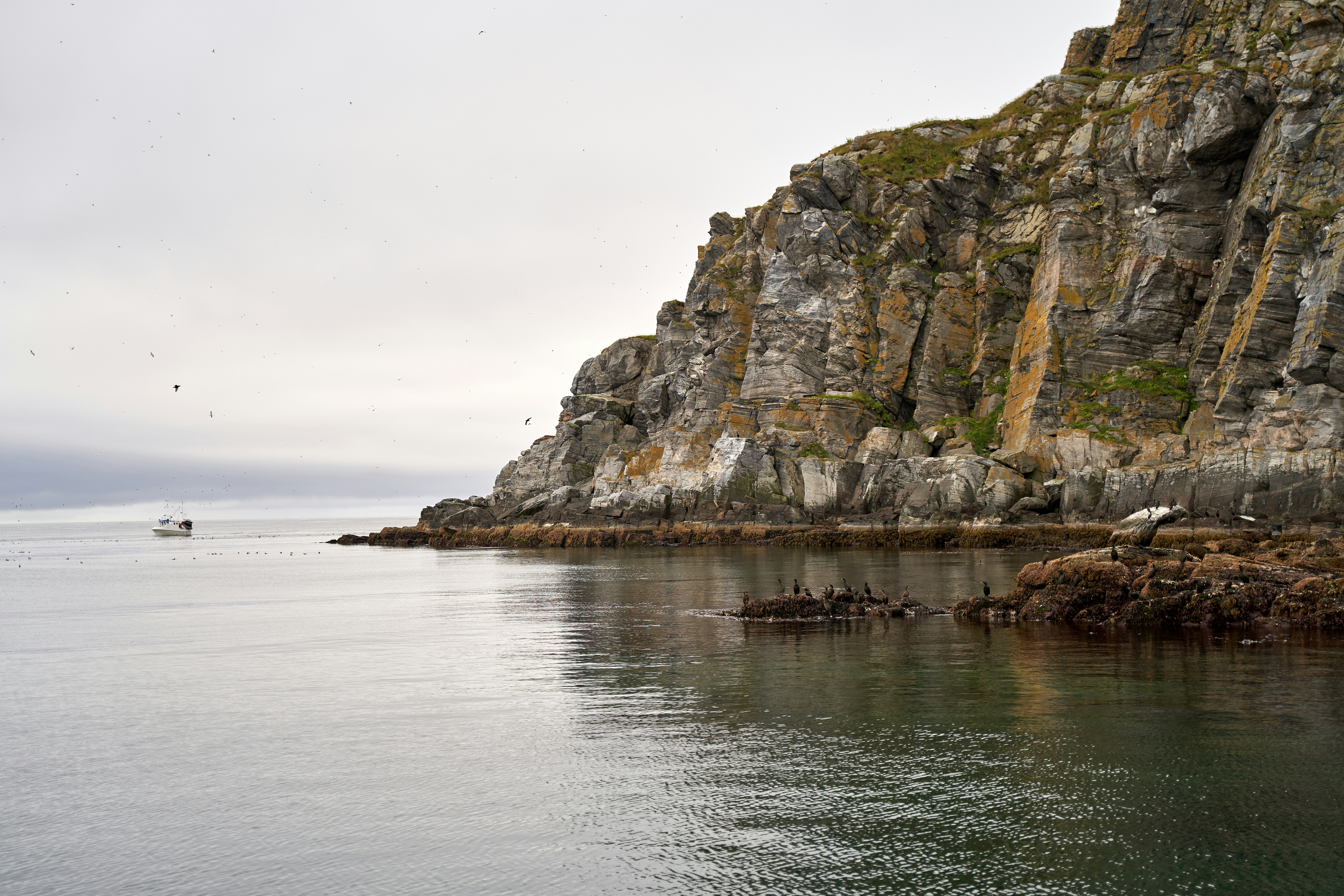 Une falaise rocheuse à côté d’un plan d’eau photo – Photo Gjesvær ...