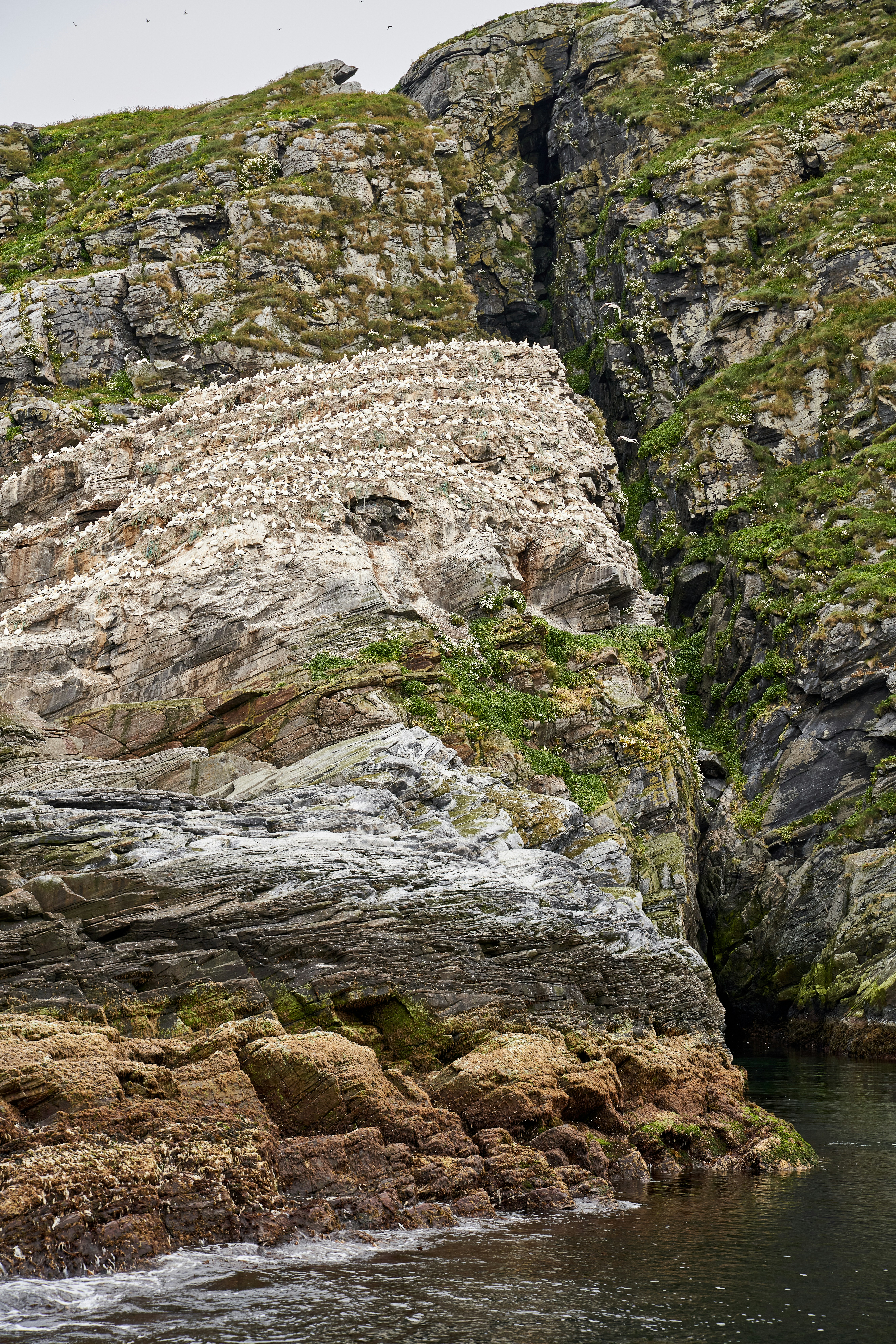 A rocky cliff side photo – Free Gjesvær Image on Unsplash