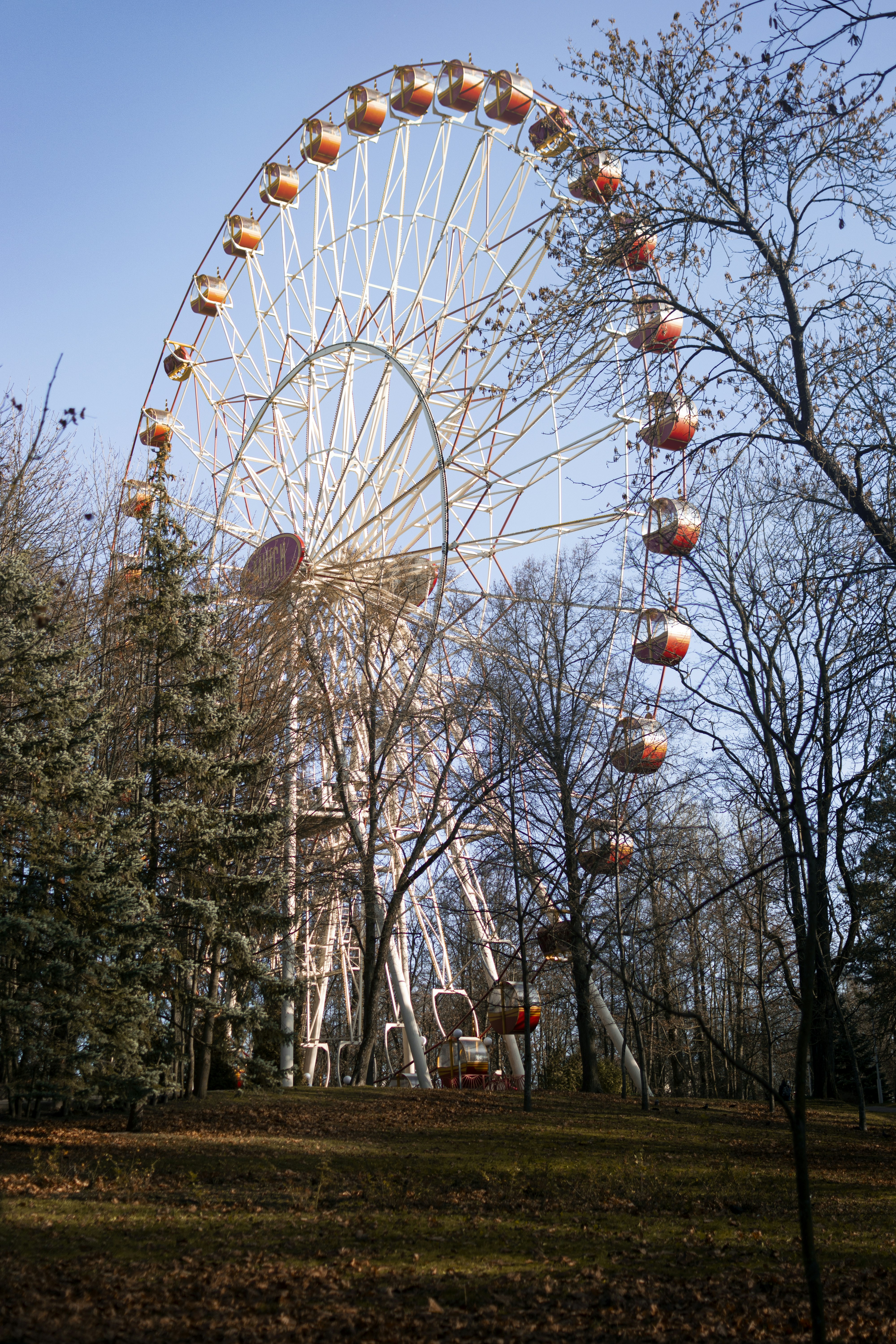A ferris wheel with trees around it photo – Free Belarus Image on Unsplash